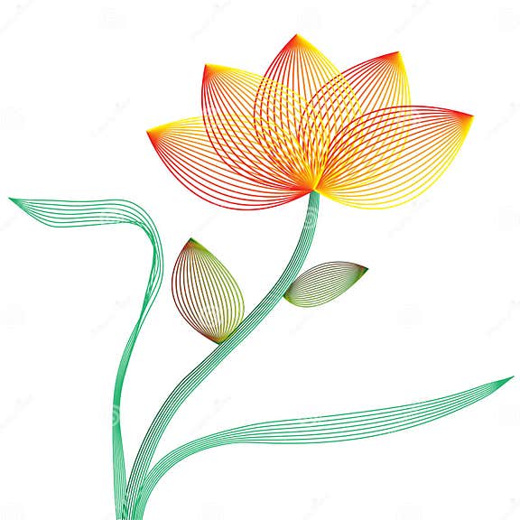 Wire frame flower stock illustration. Illustration of abstract - 182690093