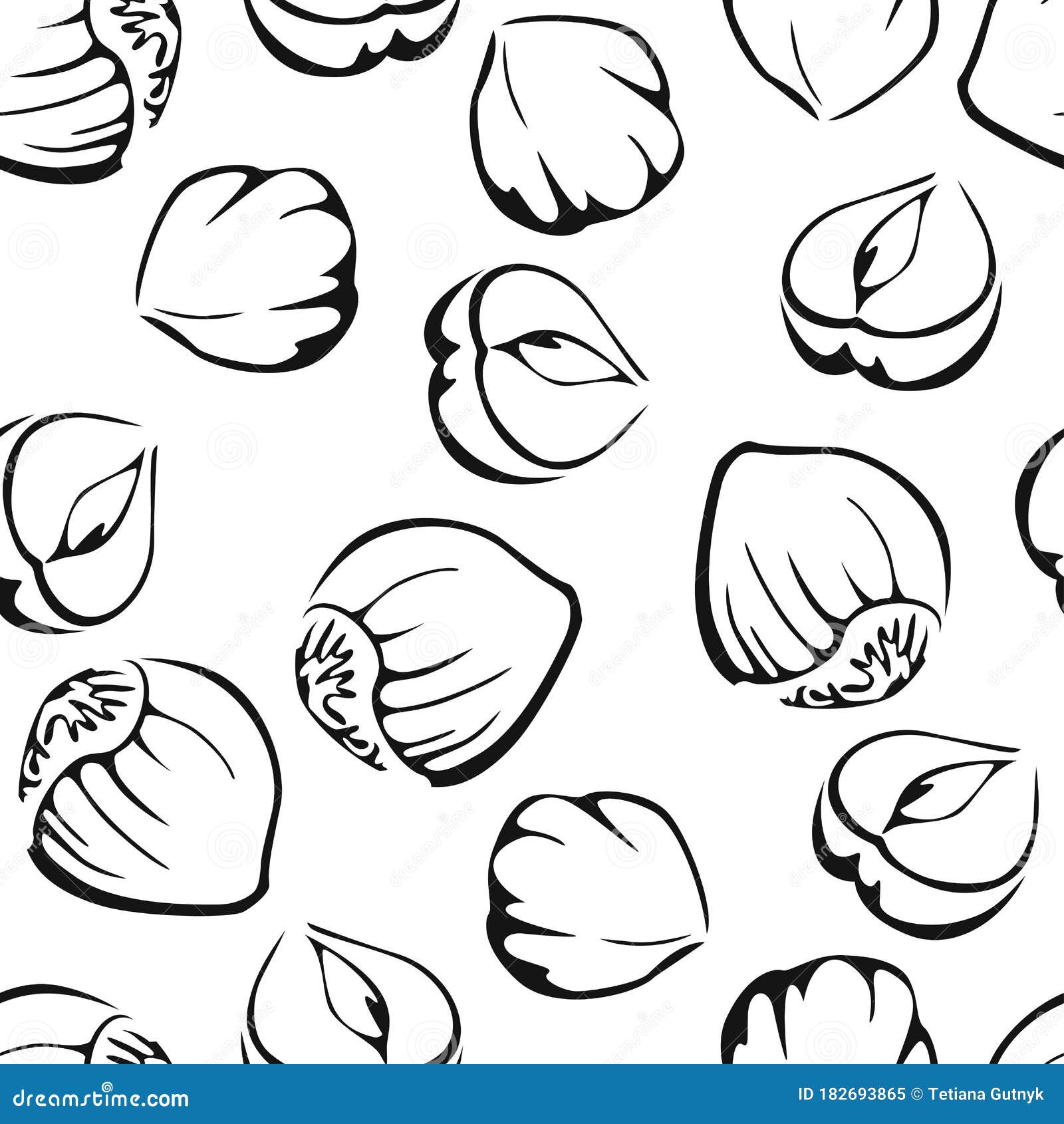 Hazelnut Seamless Pattern. Black and White Outline Illustration. Vector ...