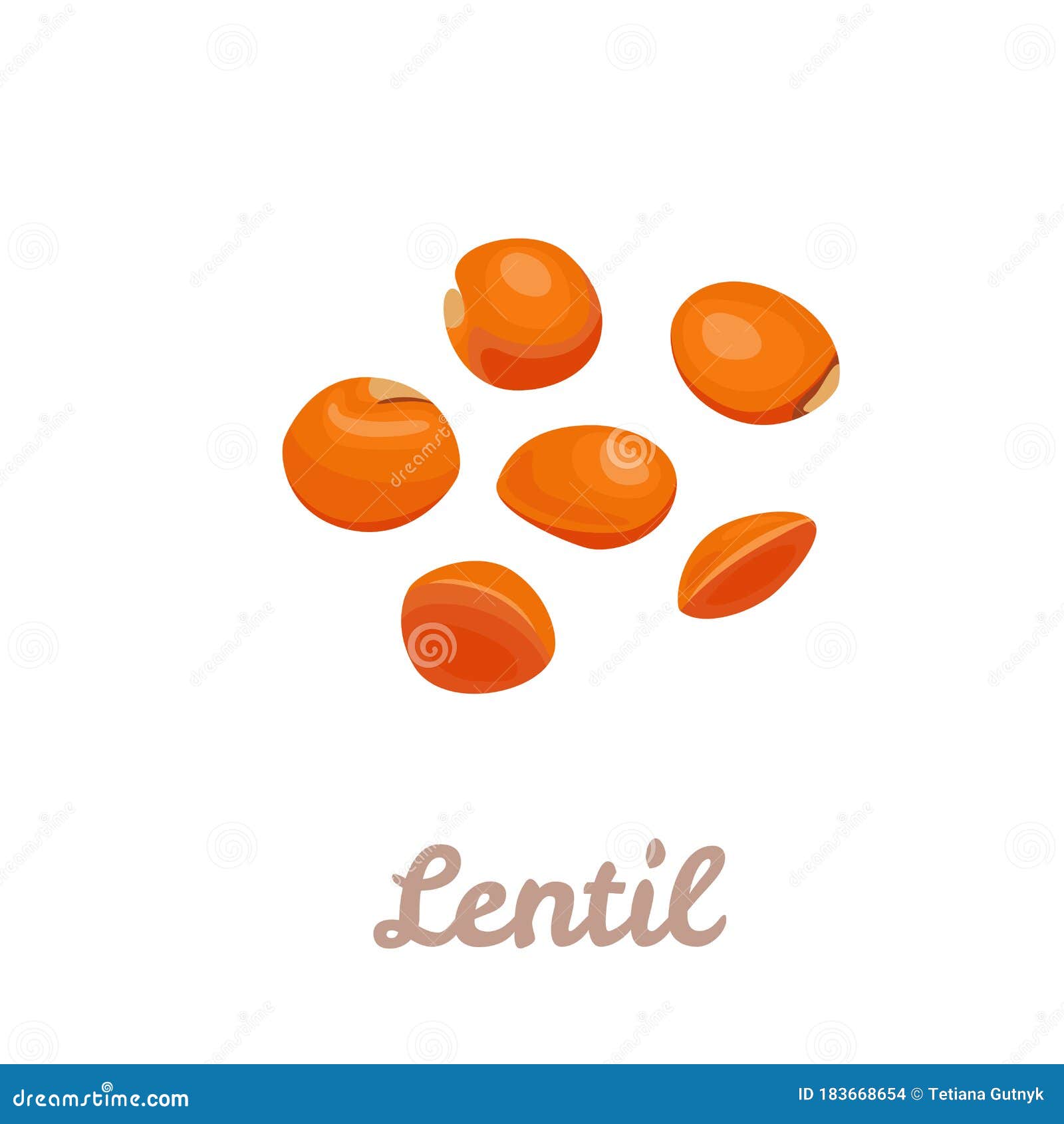 Red Lentil Isolated On White Background. Beans Icon. Vector ...