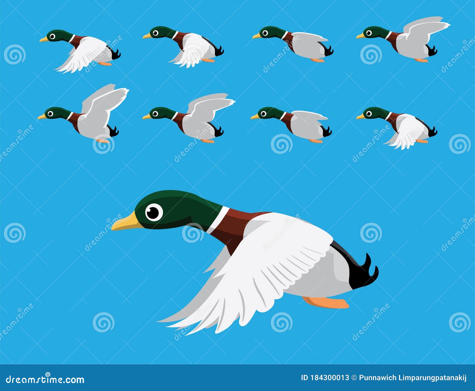 Mallard Duck Flying Animation Sequence Cartoon Vector Stock Vector ...