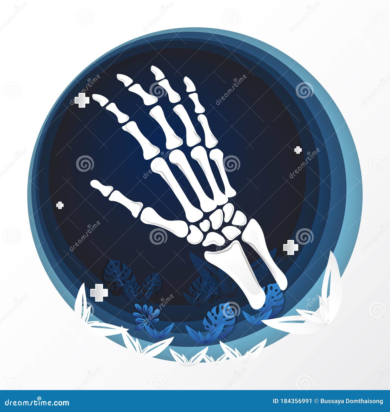 Hand Anatomy Icon. Vector Flat Paper Cut with the Blue-white Background ...