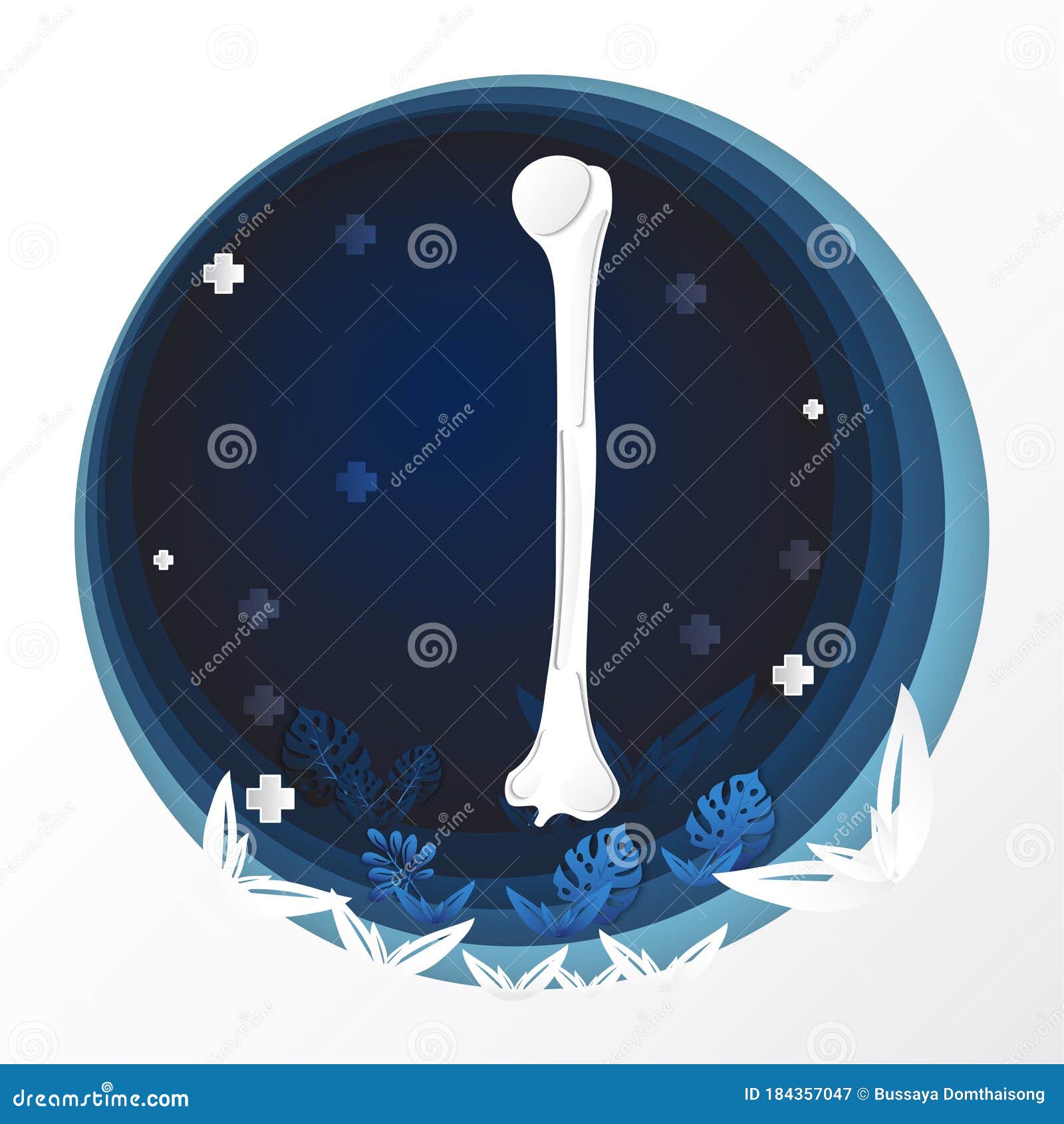 Humerus Anatomy Icon. Vector Flat Paper Cut with the Blue-white ...