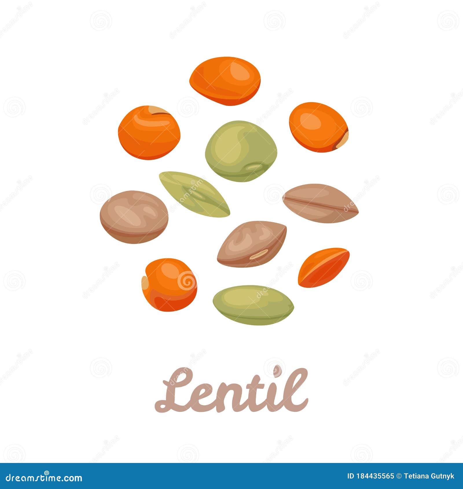 Lentils Red, Green and Brown Isolated on White Background. Beans Icons ...