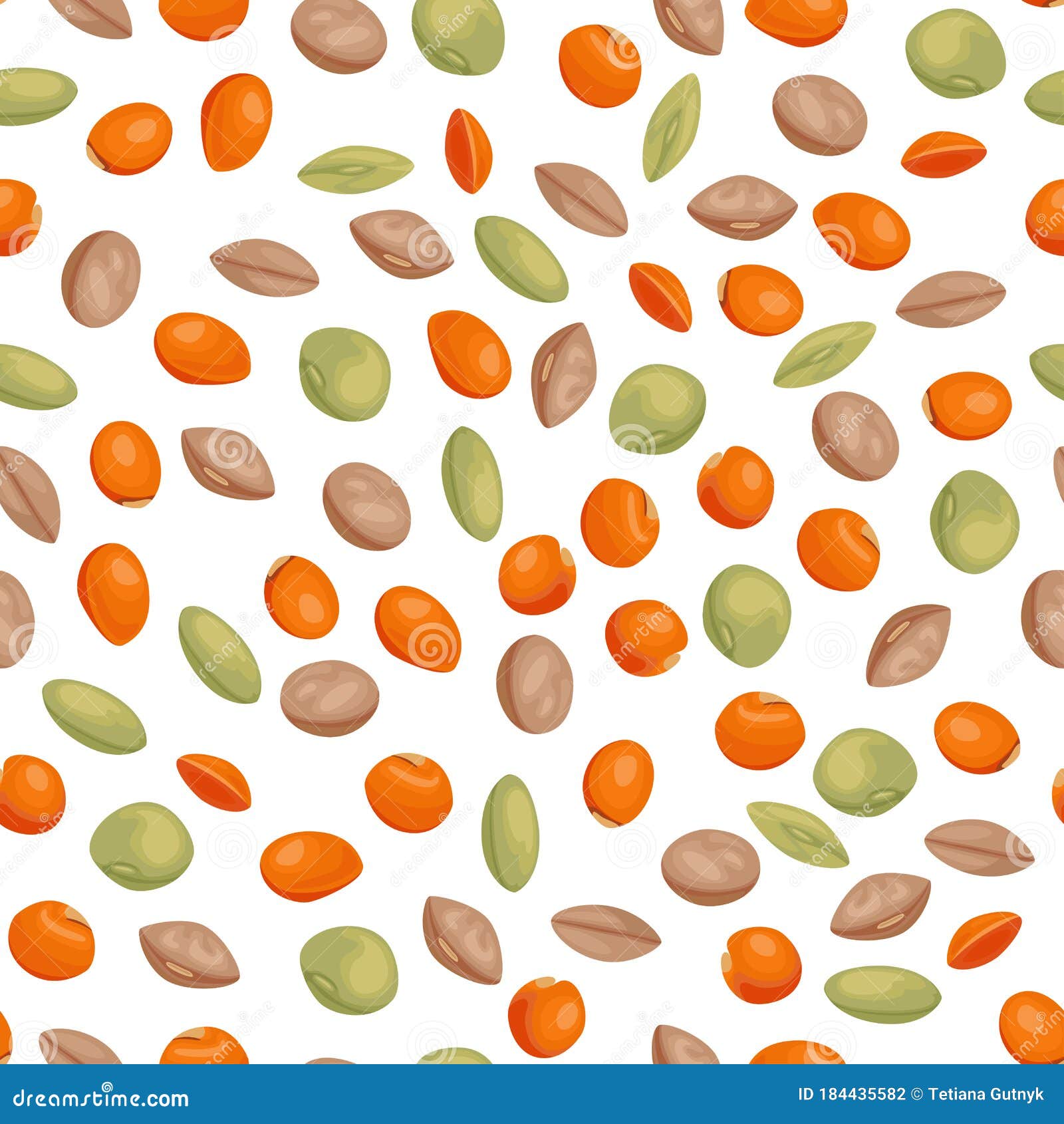 Lentils Isolated On White Background. Grains Of Brown Lentils. Vector ...