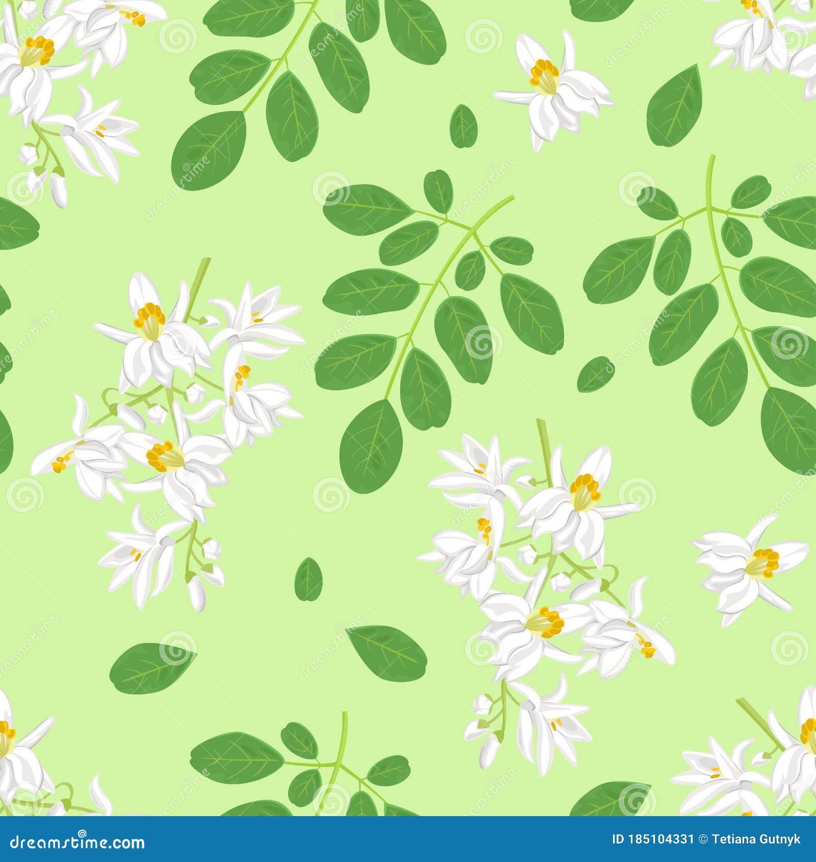 Moringa Green Leaves Seamless Pattern. Vector Illustration Of Moringa ...