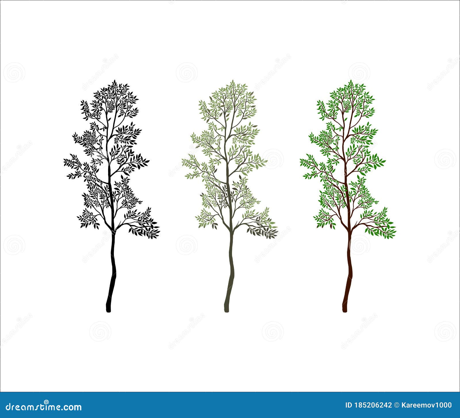 Young Olive Tree Vector Isolated on White Stock Illustration ...