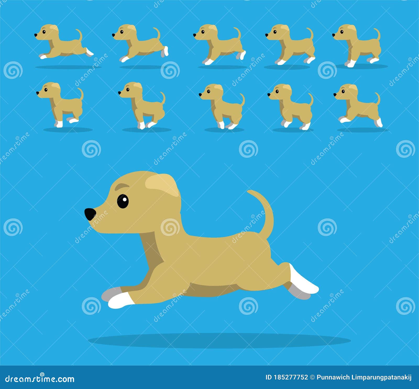 Animal Animation Sequence Dog Greyhound Cartoon Vector Stock Vector ...