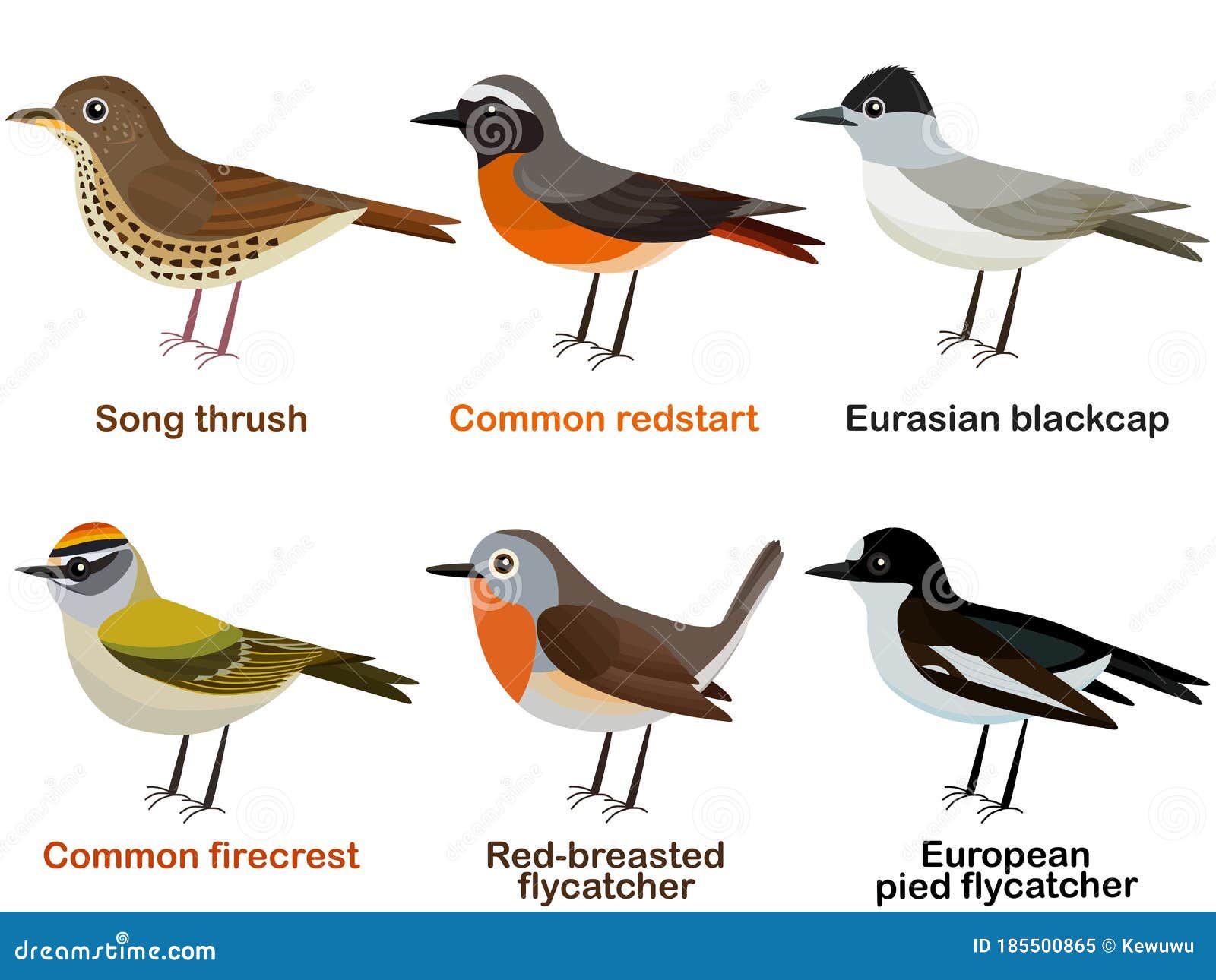 Cute European Bird Cartoons - Song Thrush, Common Redstart, Eurasian ...