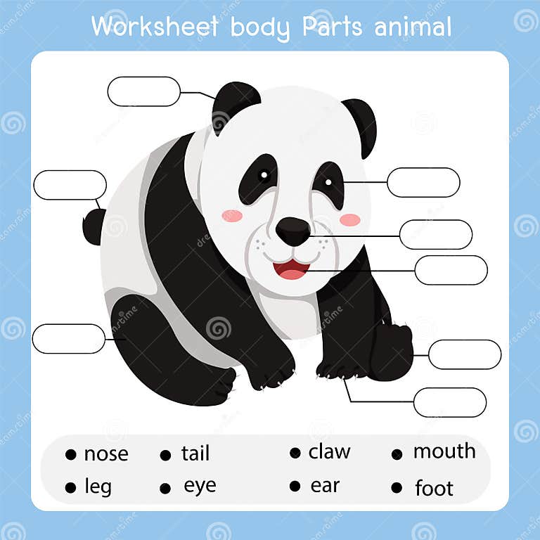 Illustrator of Worksheet Body Parts Panda Animal Stock Vector ...