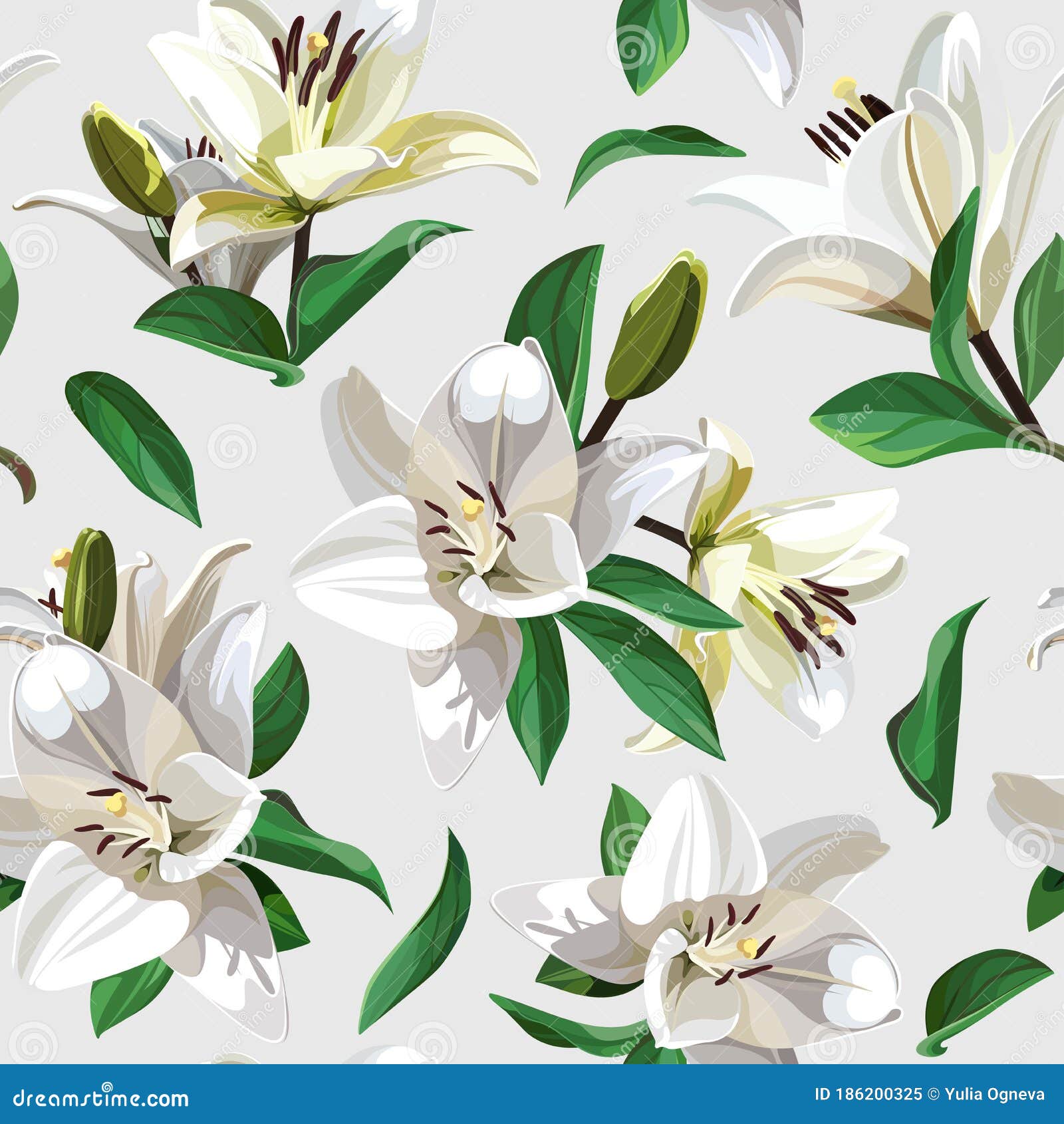 White Flowers of Lily Madonna Lily. Seamless Floral Pattern on Light ...