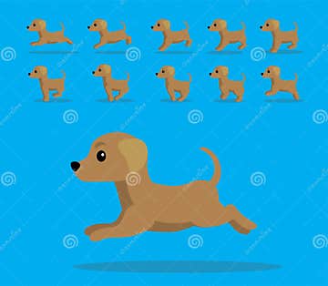 Animal Animation Sequence Dog Rhodesian Ridgeback Cartoon Vector Stock ...