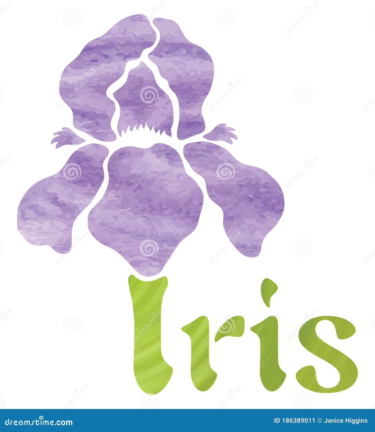 Beautful Purple Textured Iris Flower Stock Vector - Illustration of ...