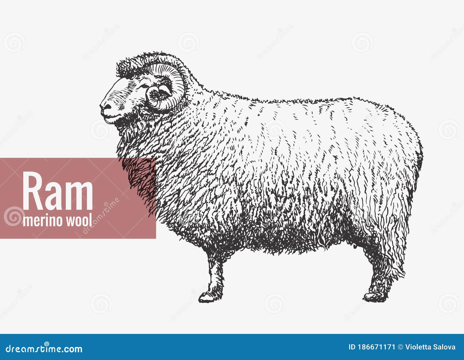 Sheep Merino Cartoon Background Seamless Wallpaper Vector Illustration ...
