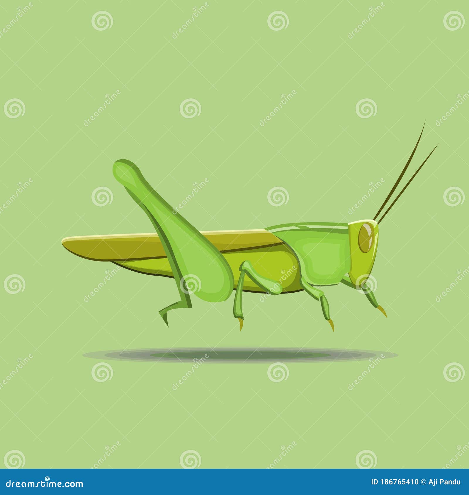 Green Locust Cartoon Stock Image | CartoonDealer.com #57321763