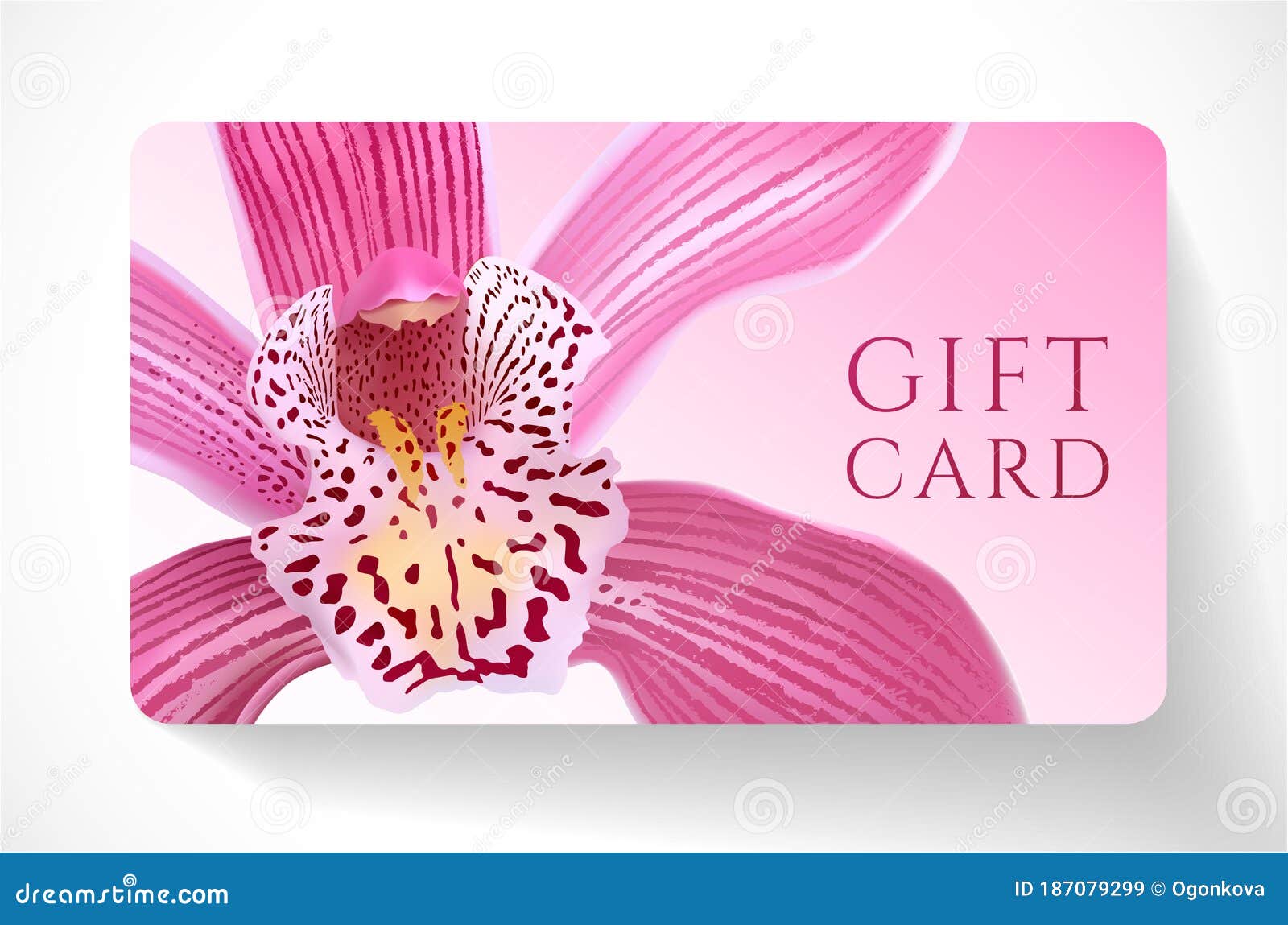 Gift Card with Beautiful Realistic Orchid Pink Flower Isolated on Clean ...
