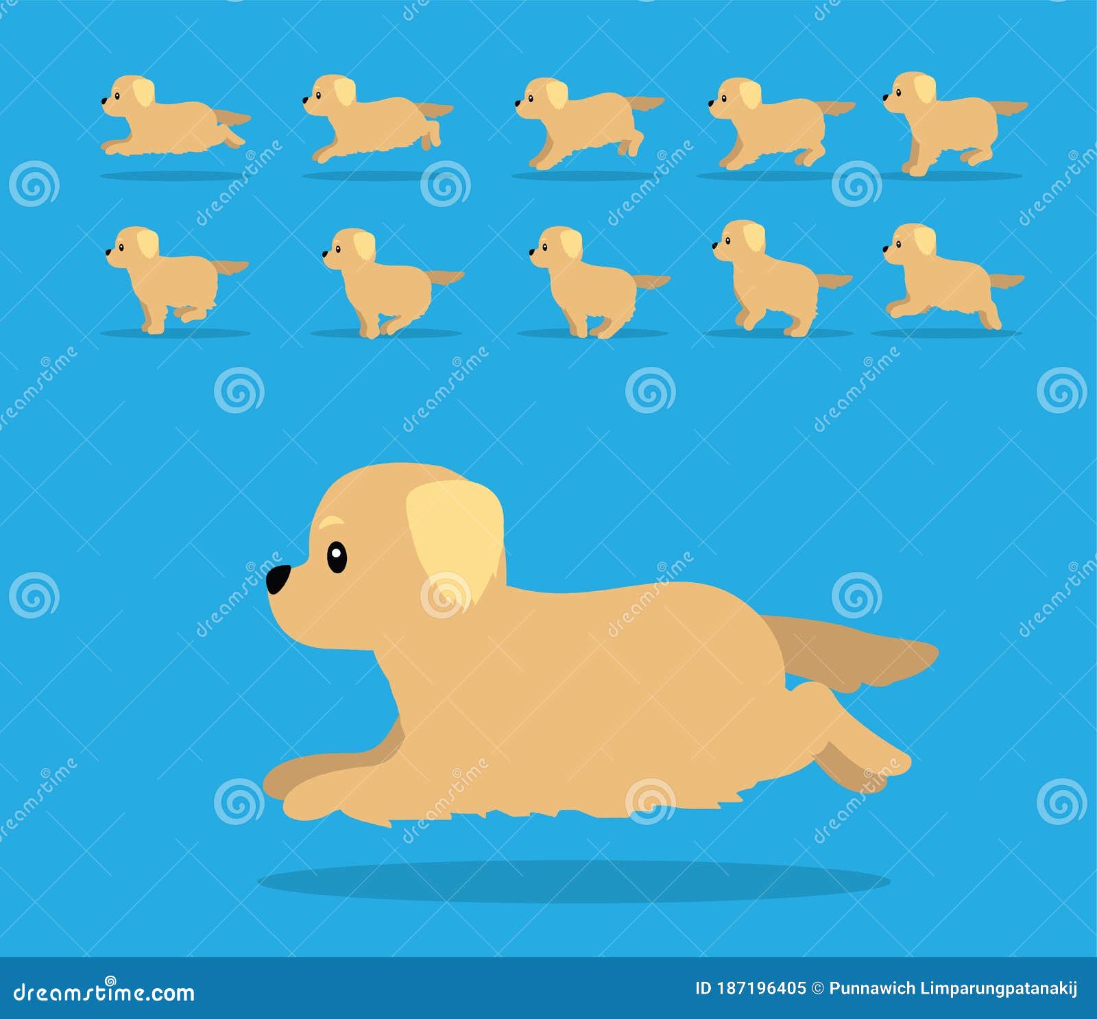 Animal Animation Sequence Dog Golden Retriever Cartoon Vector Stock ...