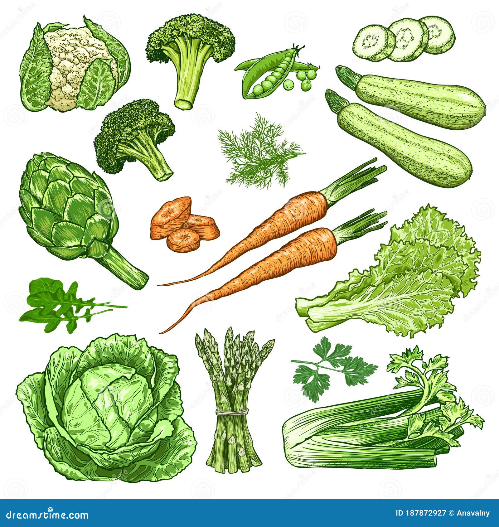 Hand Drawn Fresh Vegetables Set. Template for Your Design Works Stock ...