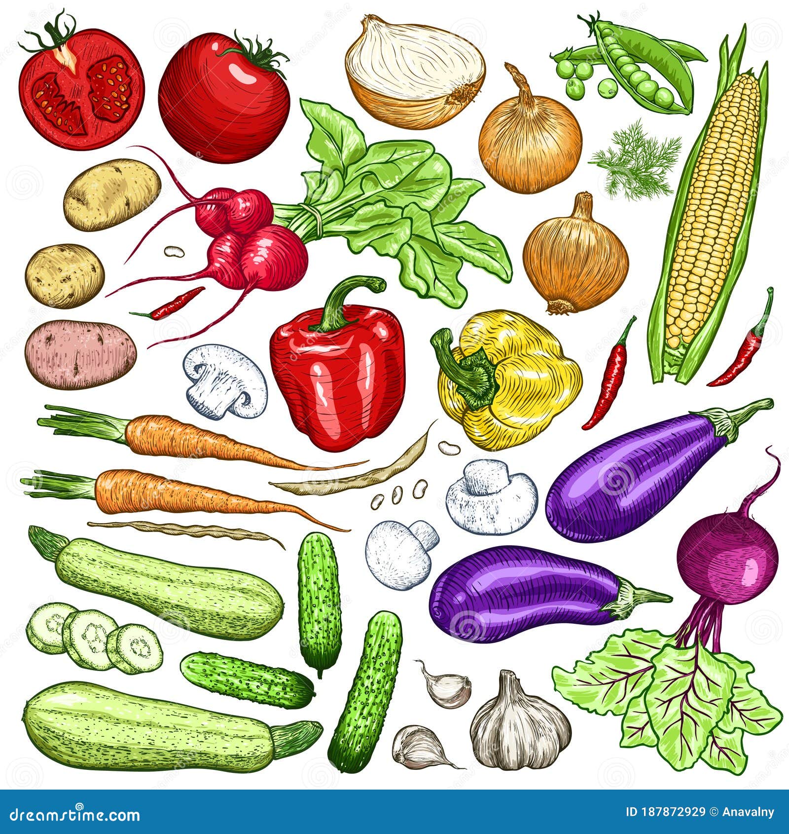 Hand Drawn Fresh Vegetables Set. Template for Your Design Works Stock ...