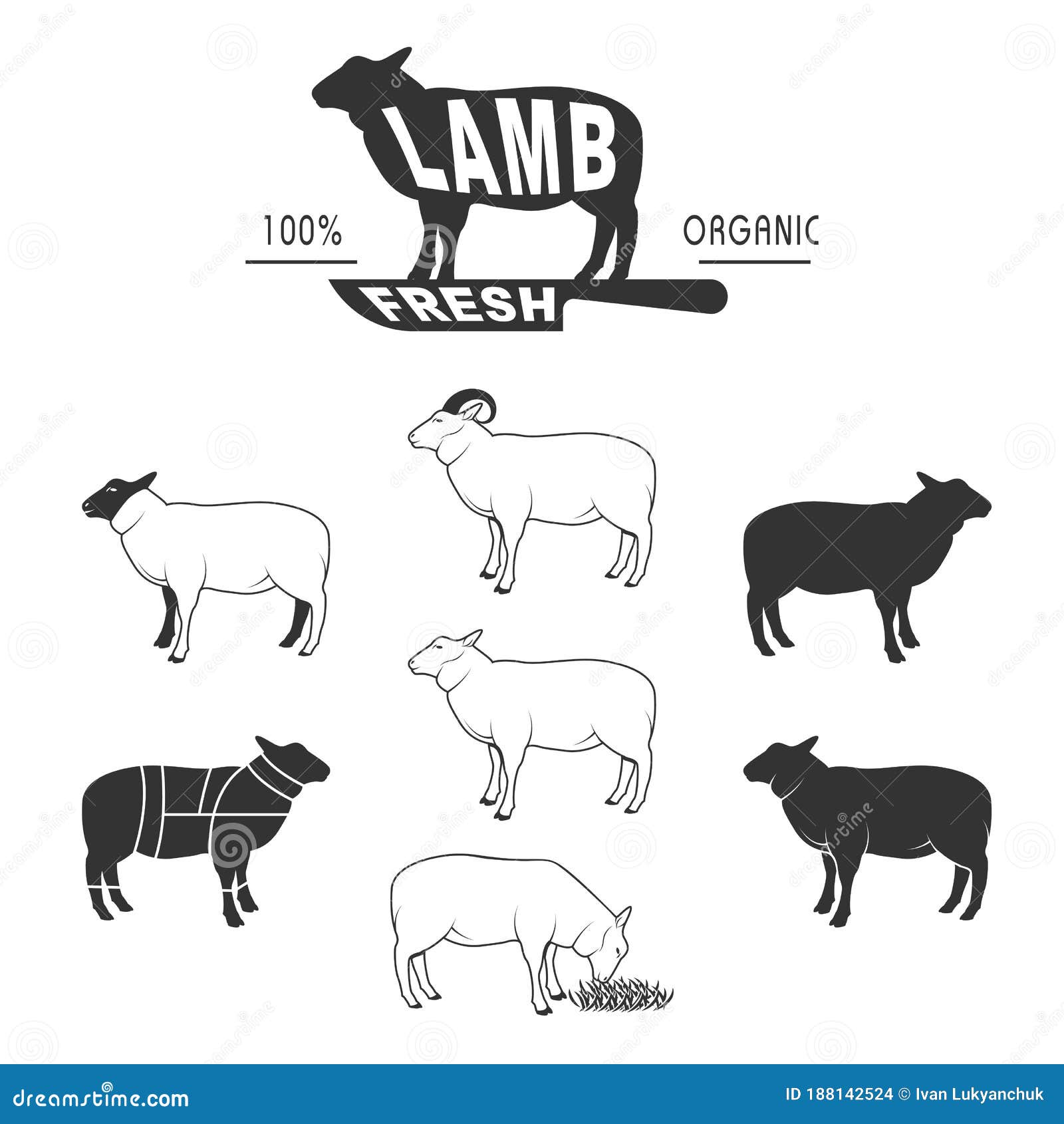 Lamb Side View