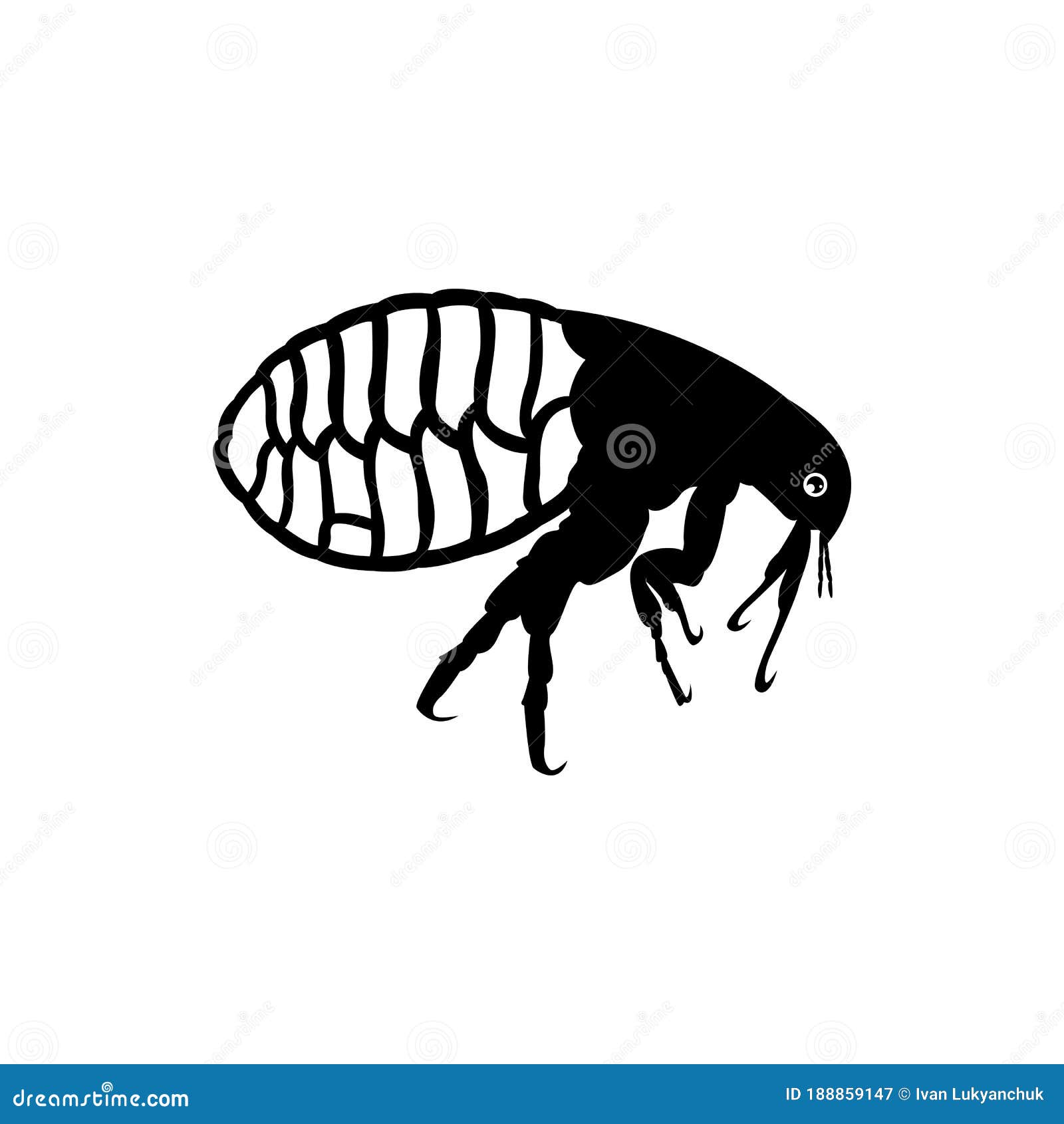 Flea icon insect logo stock vector. Illustration of animal - 188859147