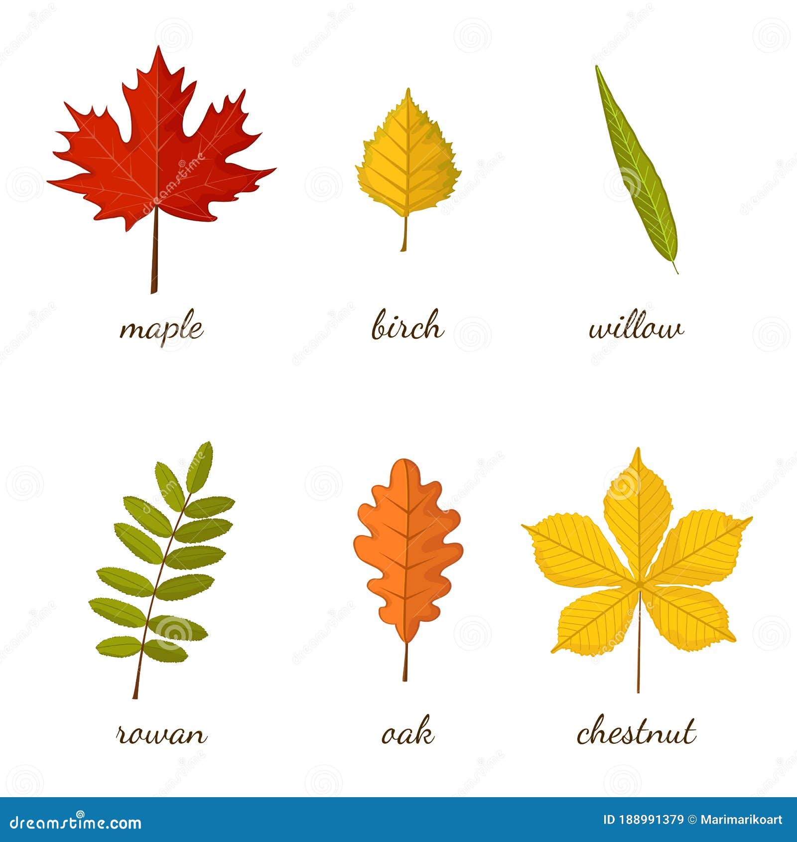 Autumn Leaves Set on White Background Stock Vector - Illustration of golden, garden: 188991379