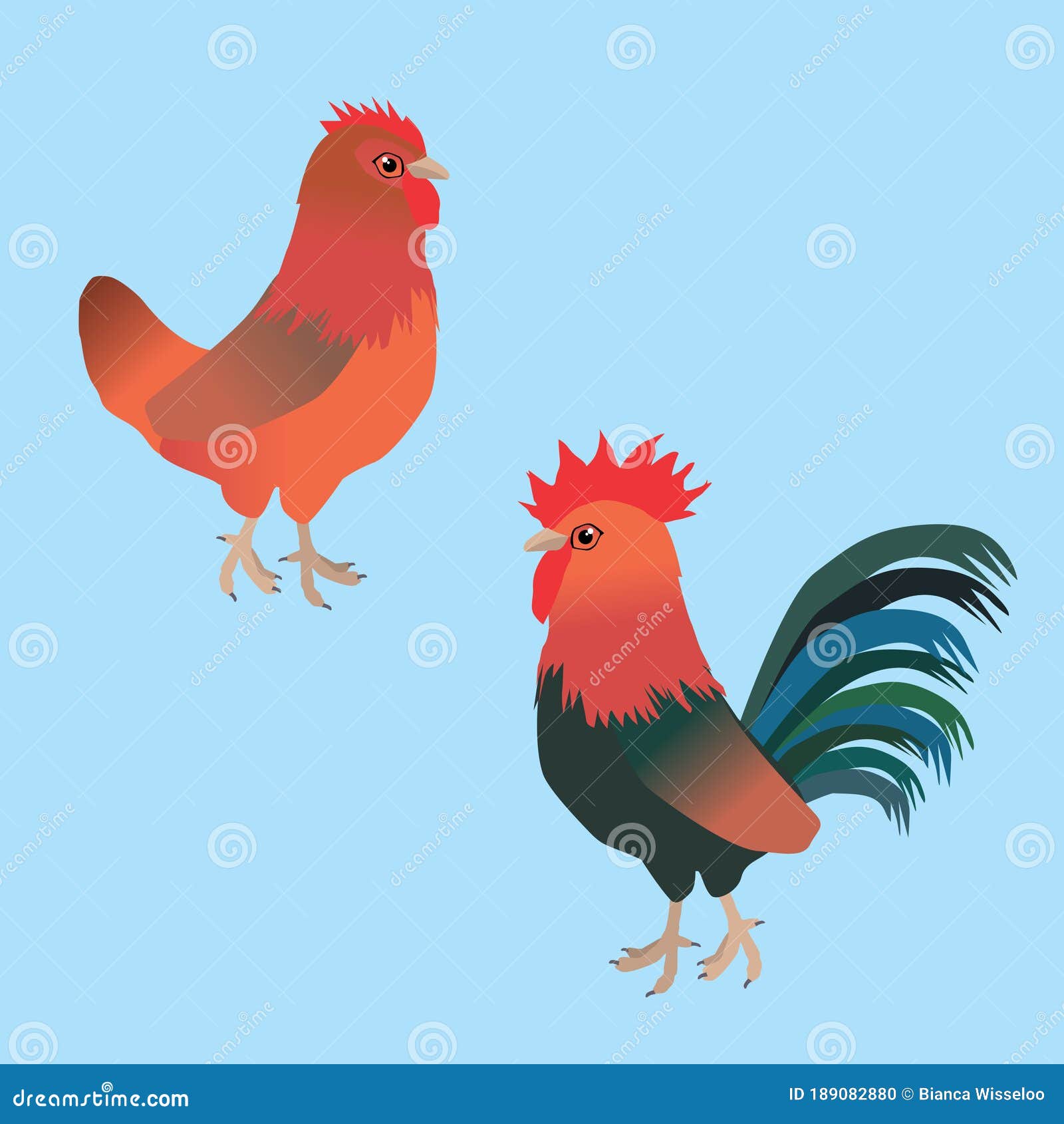 A Couple of Welsumer Chickens Stock Vector - Illustration of breed ...