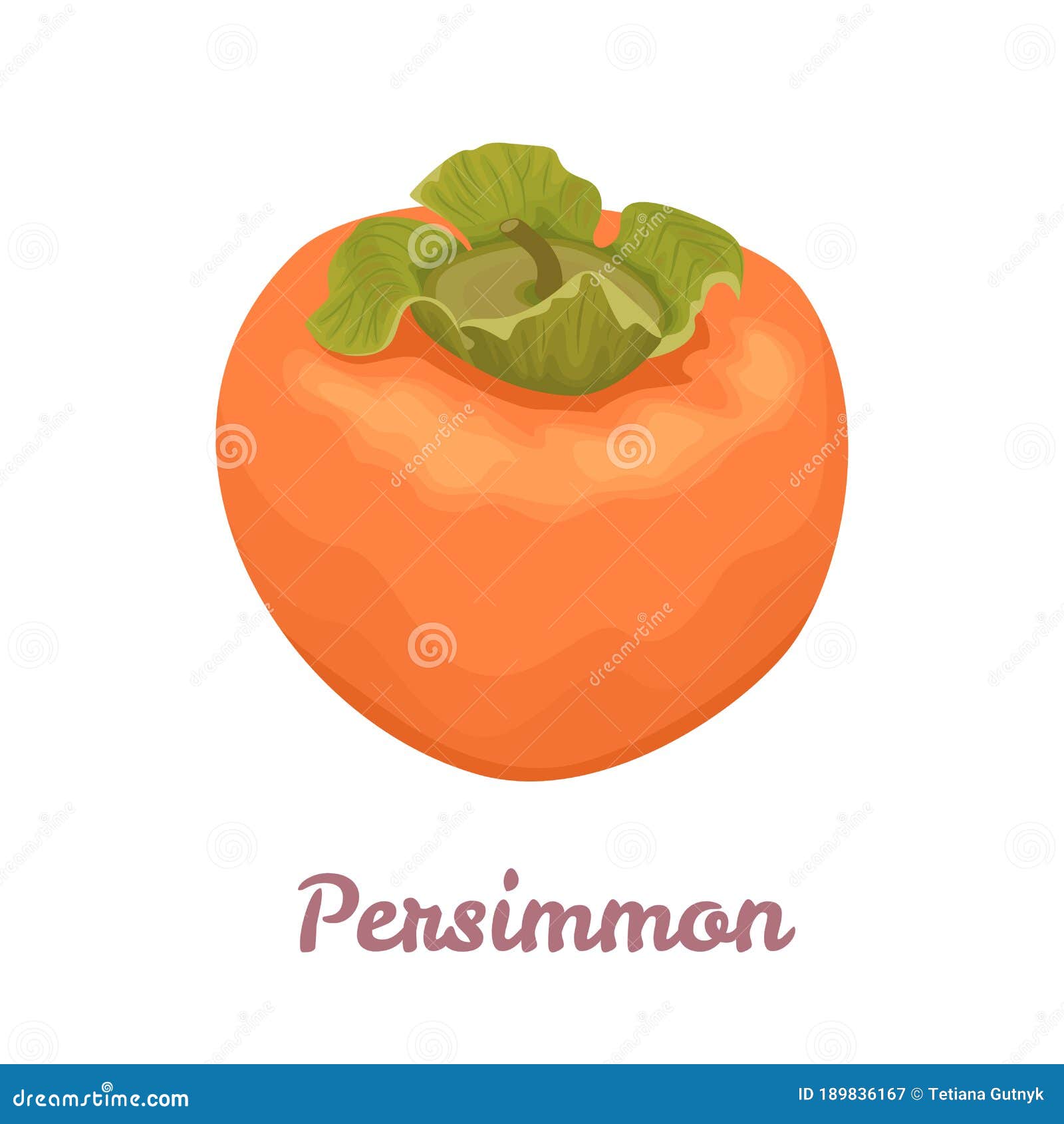 Persimmon Whole And Half With Leaves Seamless Horizontal Border. Design ...