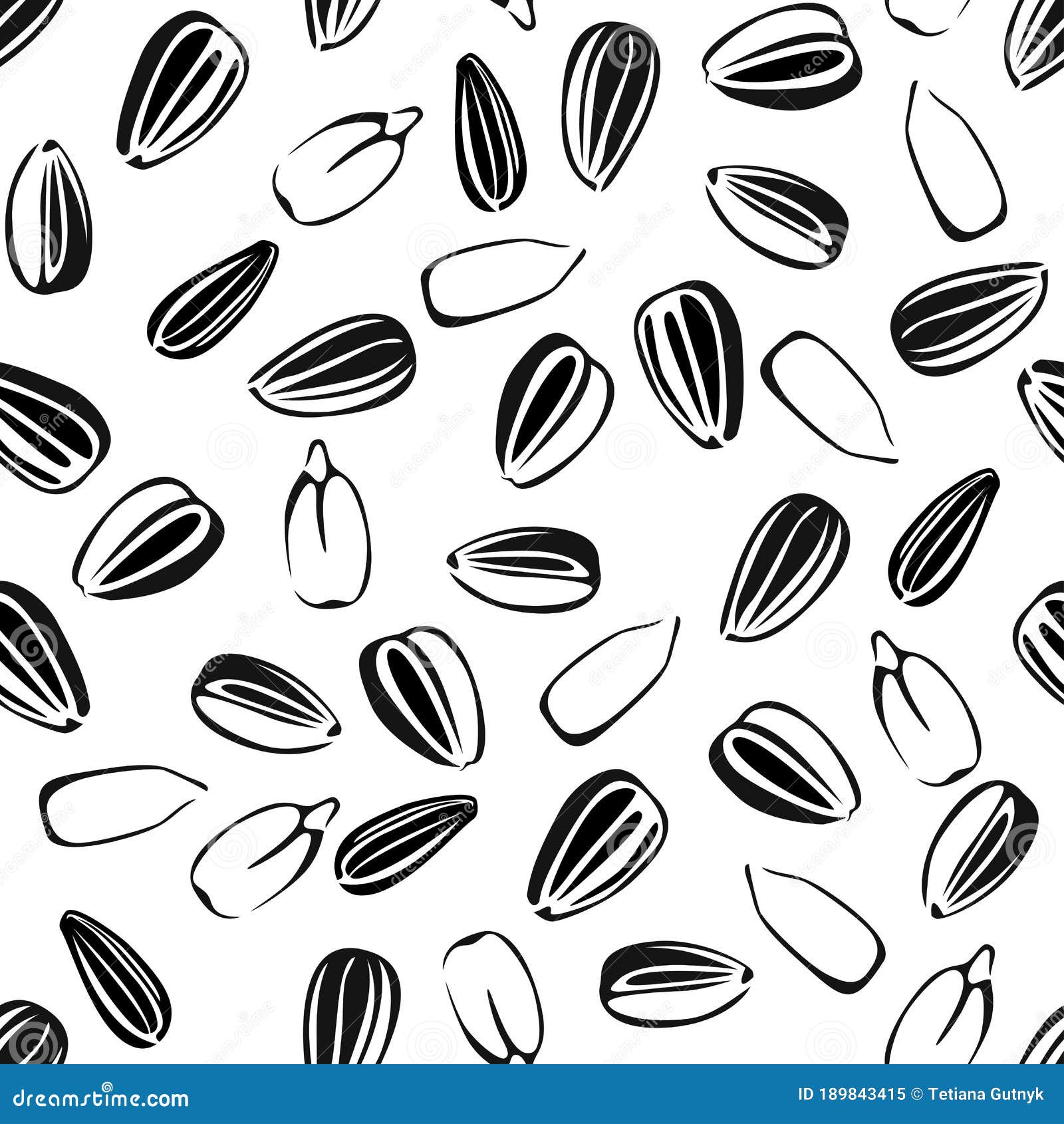 Sunflower Seeds Seamless Pattern. Vector Stock Vector - Illustration of ...