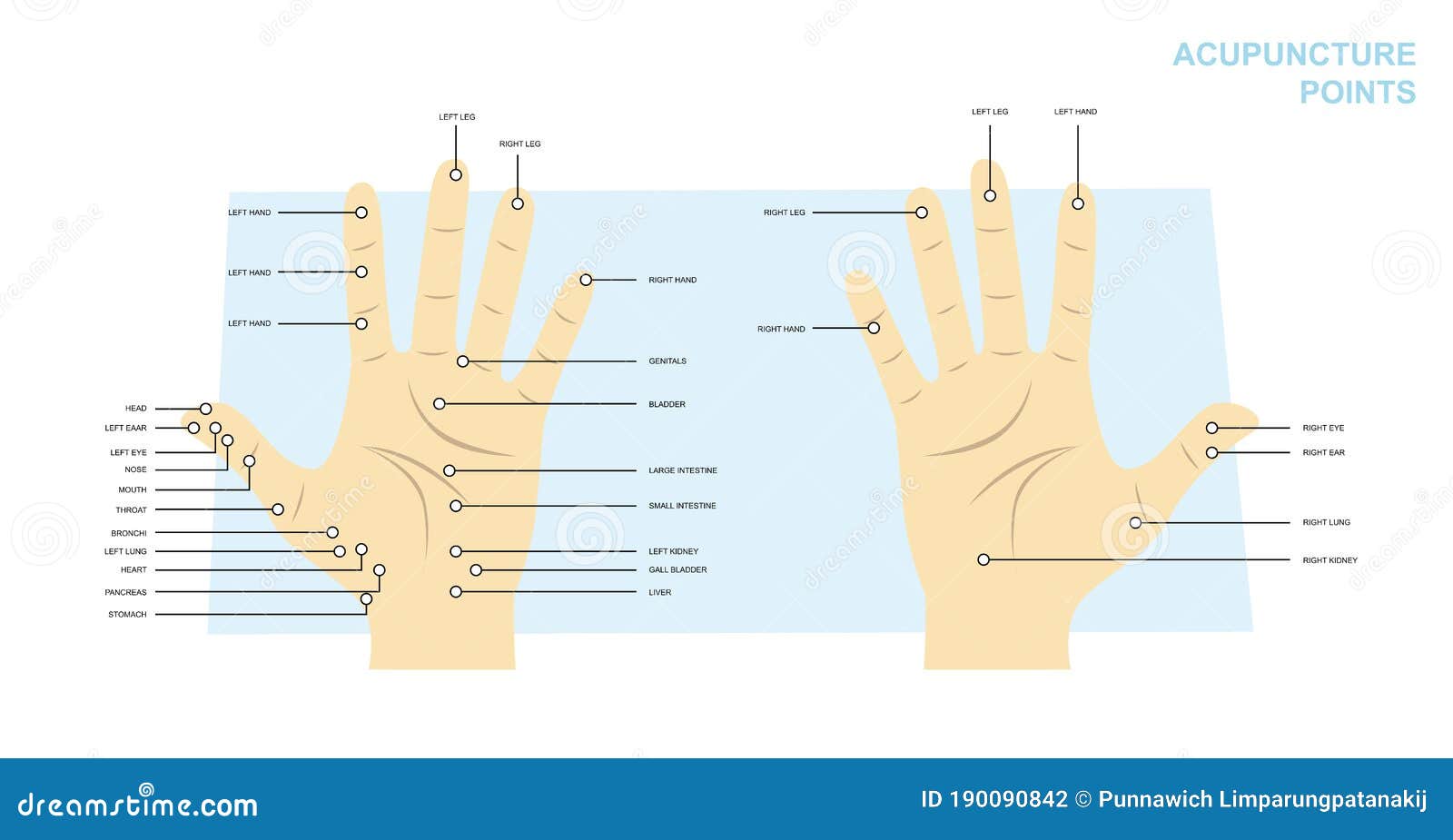 Acupuncture Points Hands Manga Cartoon Vector Illustration Stock Vector ...
