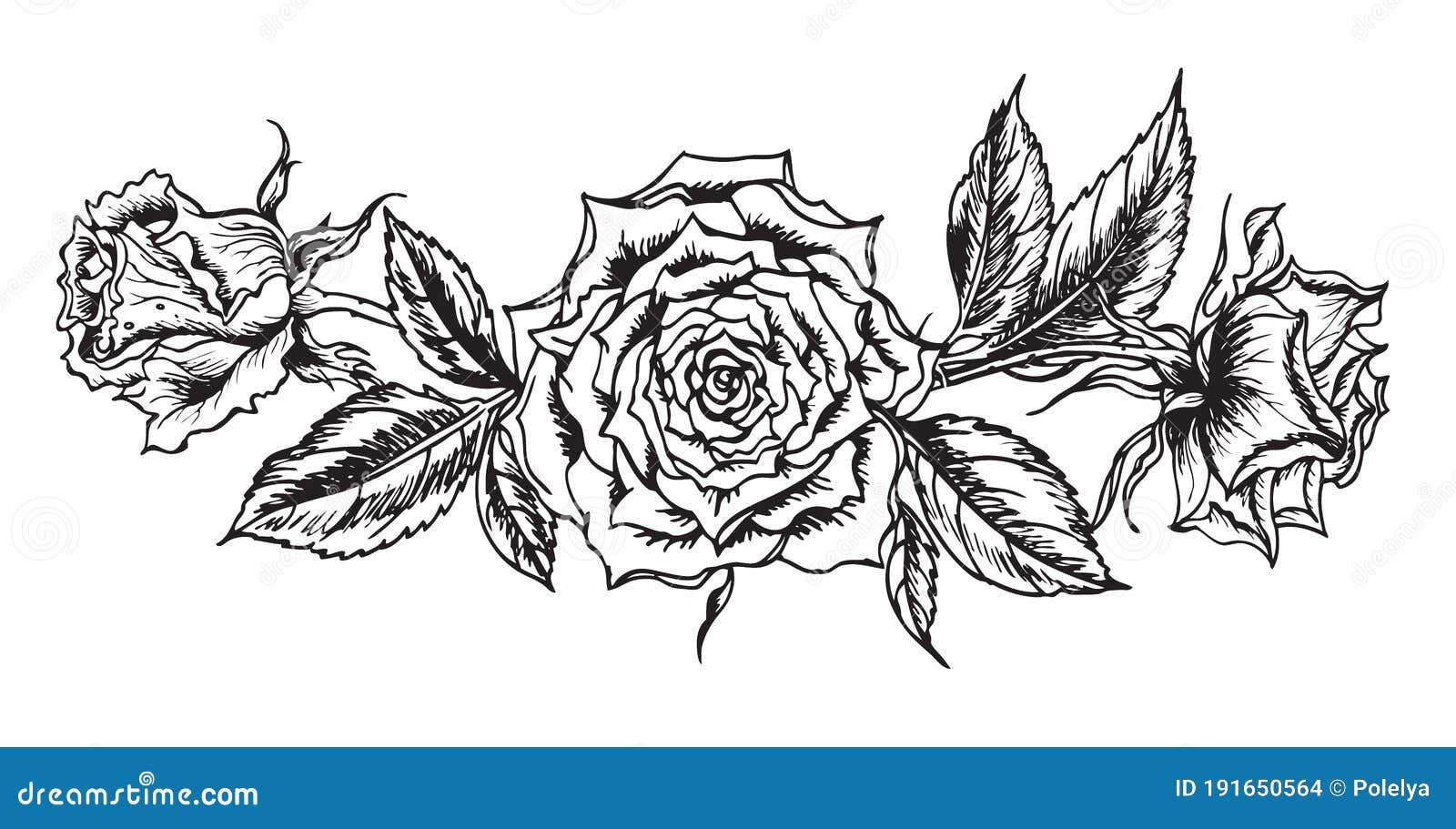 Rose Vignette, Black and White Outline Illustration Stock Illustration ...