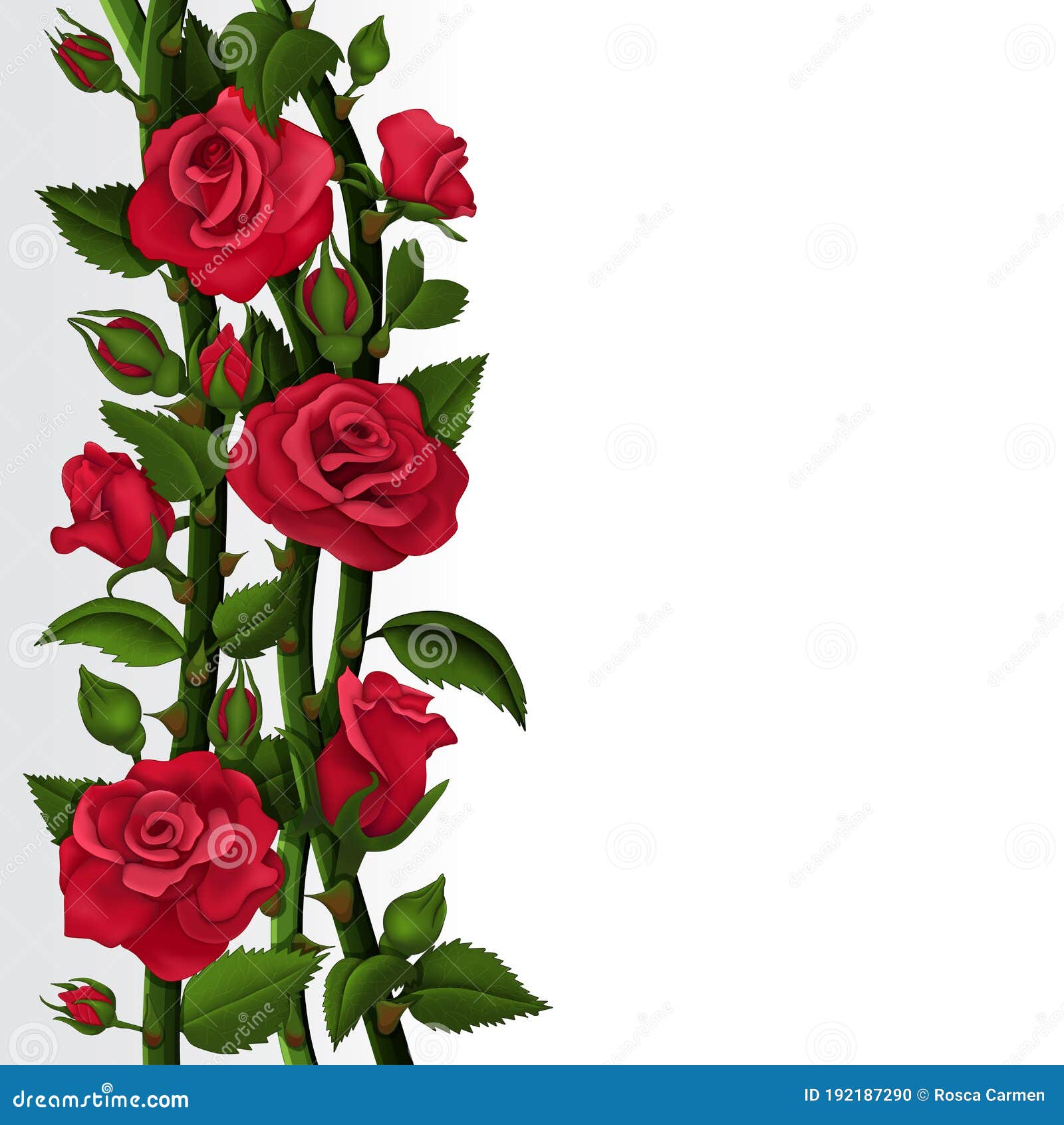 Card with red roses stock vector. Illustration of flowers - 192187290