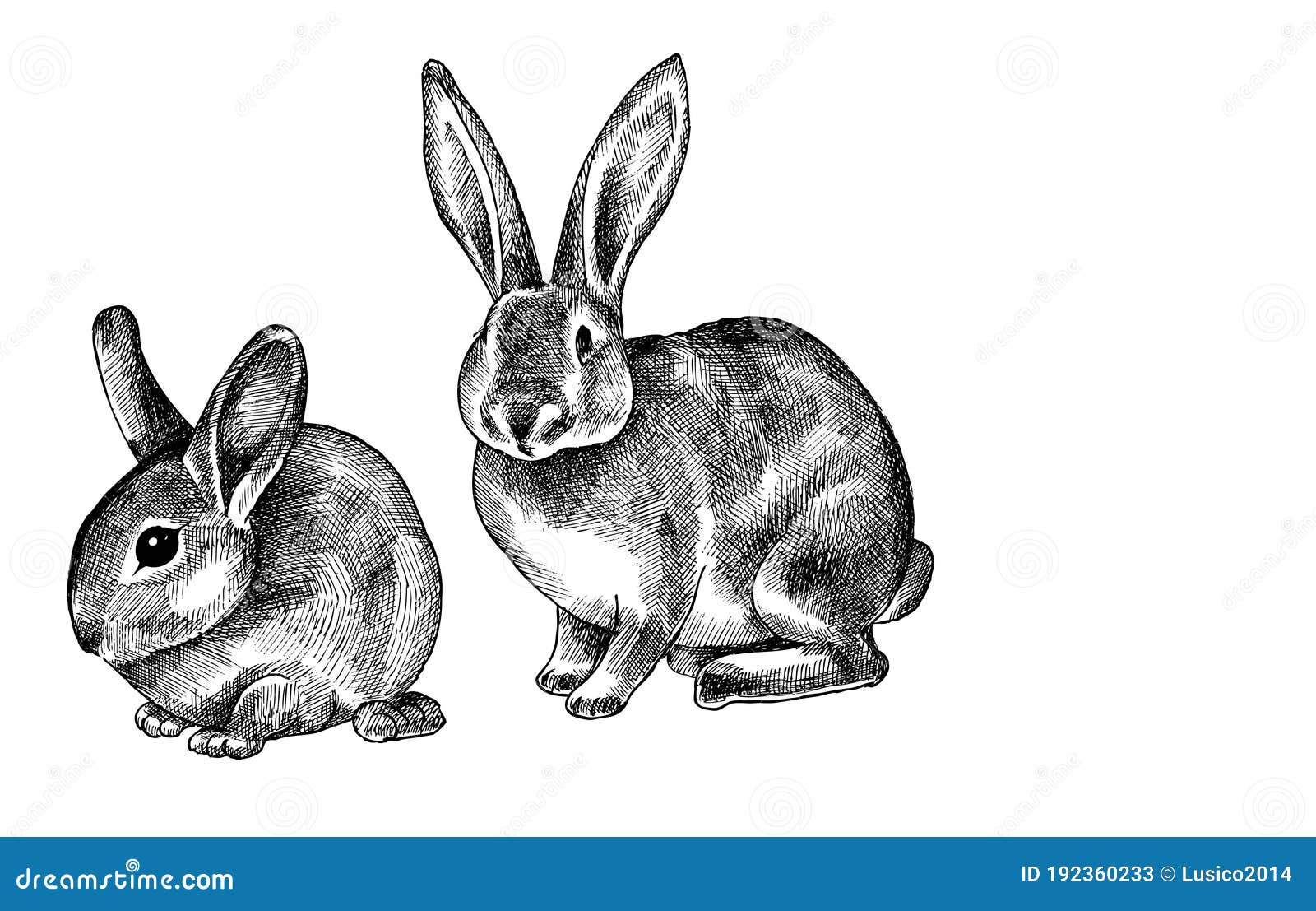 Monochrome Hand Drawn Black and White Rabbits Illustration Stock ...
