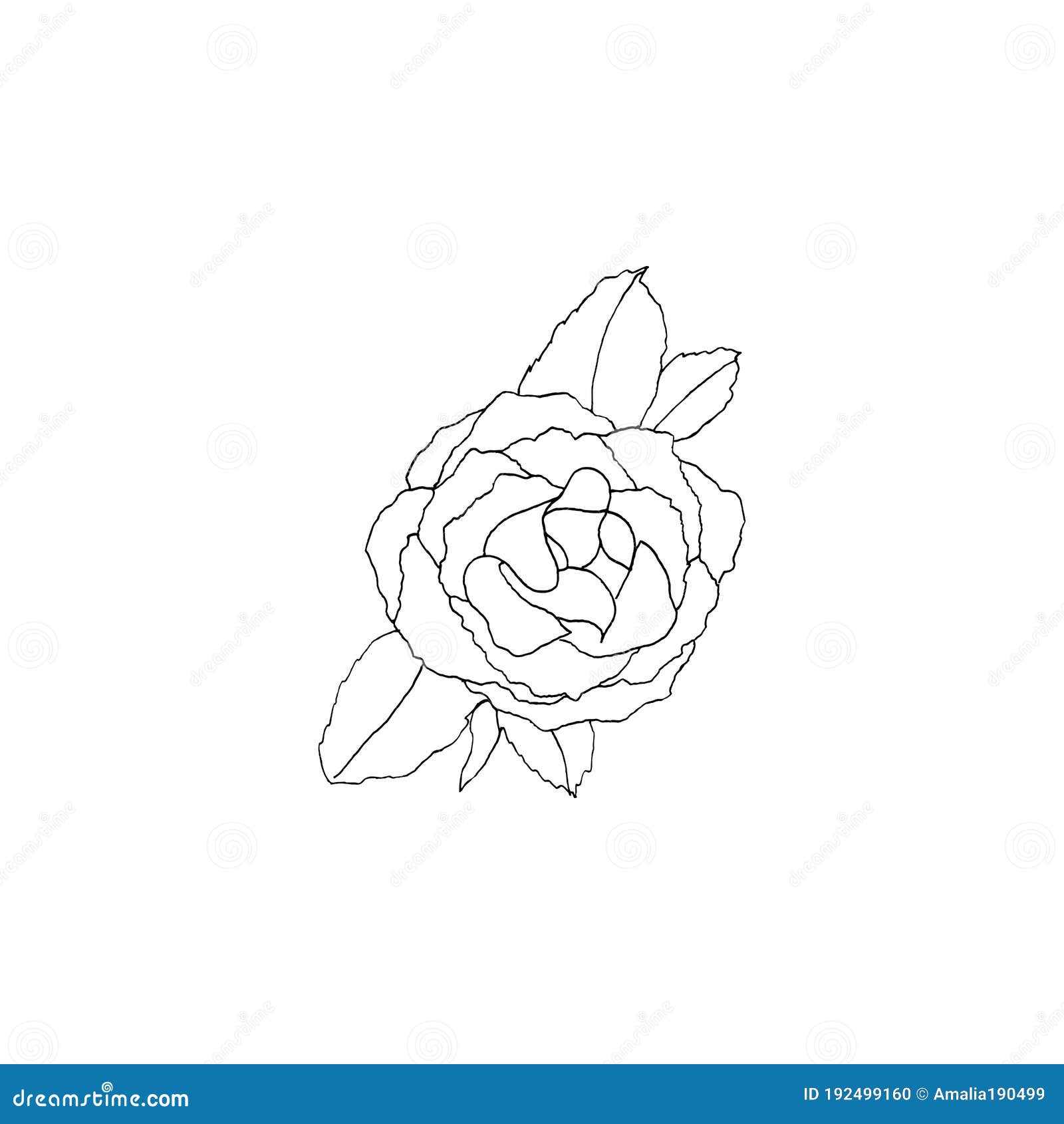 Front Angle of Rose Illustrations in Very Simple Style Stock Vector ...