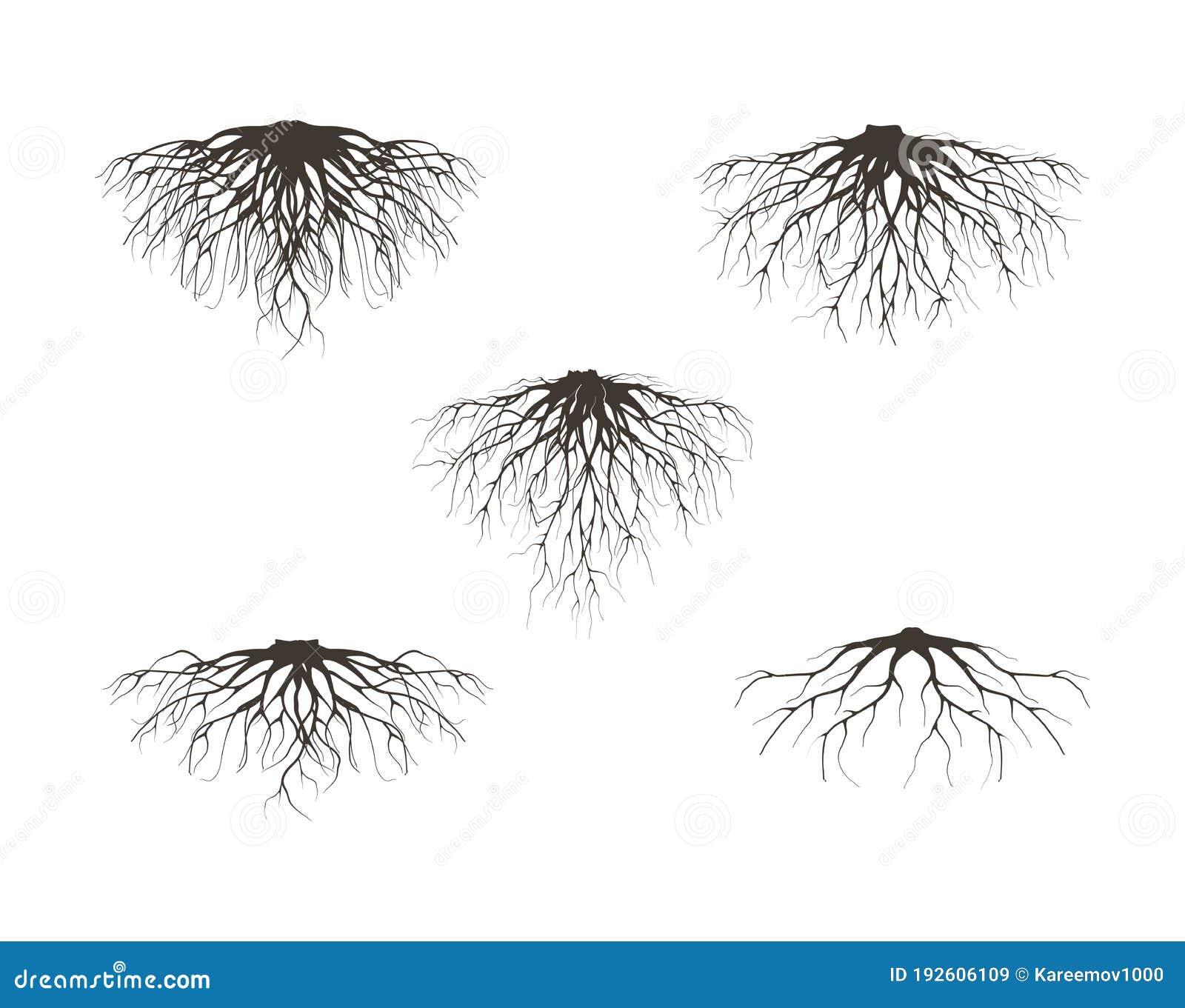 Set of Many Different Black Roots Illustration. Stock Vector ...