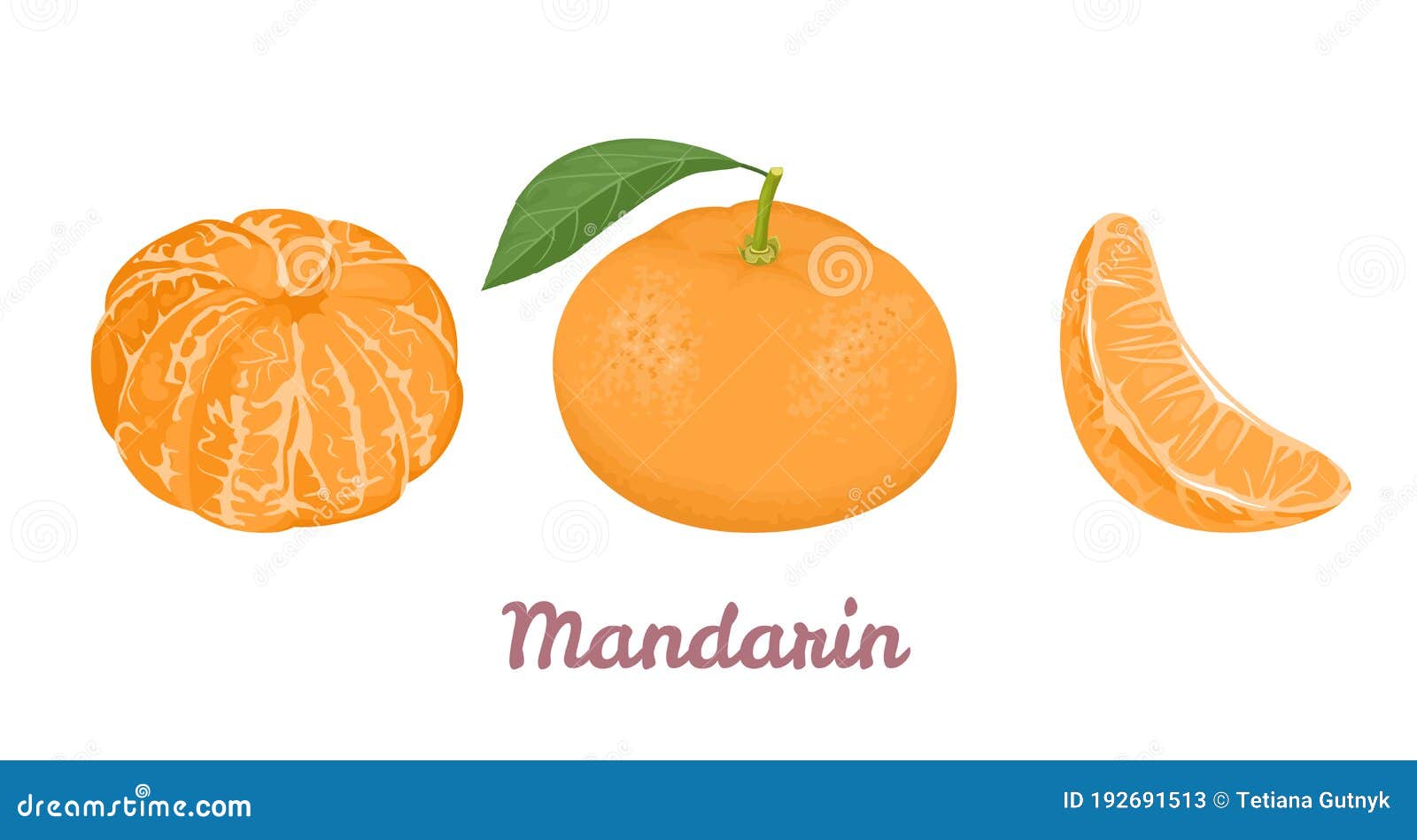 Mandarin Leaf Stock Illustrations – 7,126 Mandarin Leaf Stock ...