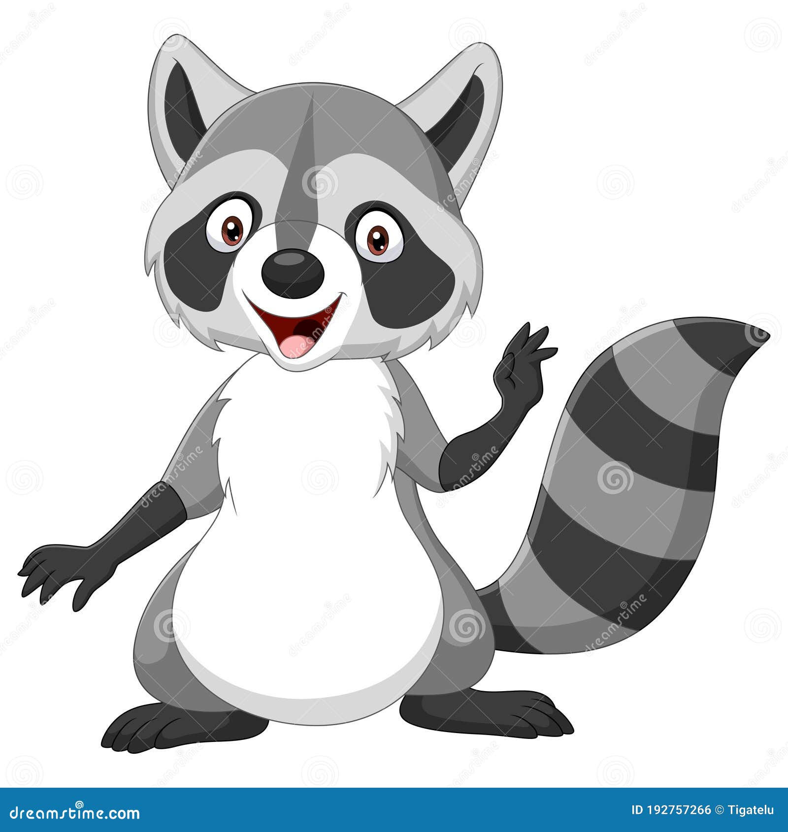 Happy Raccoon Cartoon Isolated On White Background Vector Illustration ...