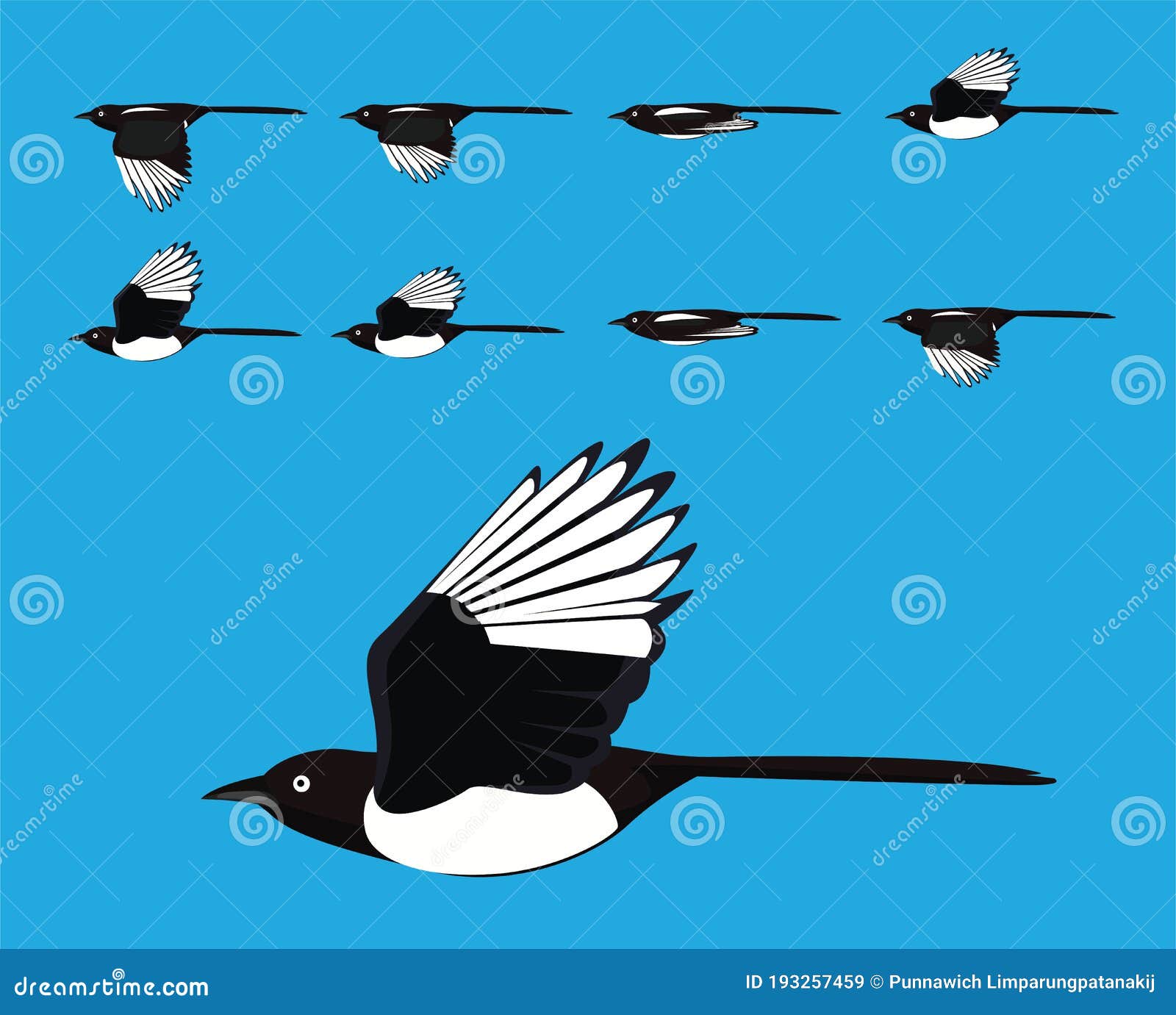 Bird Magpie Flying Cartoon Vector Animation Frame Stock Vector ...