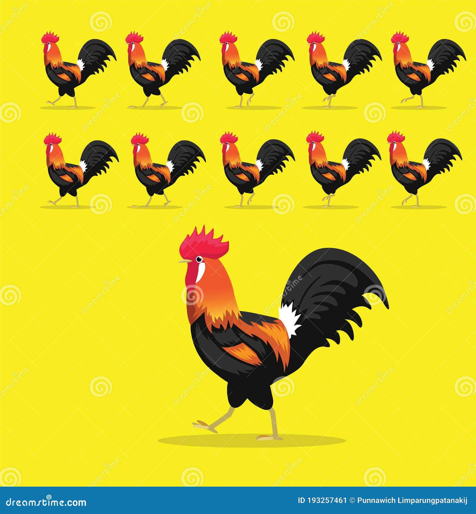 Animal Animation Sequence Rooster Chicken Cartoon Vector Stock Vector ...