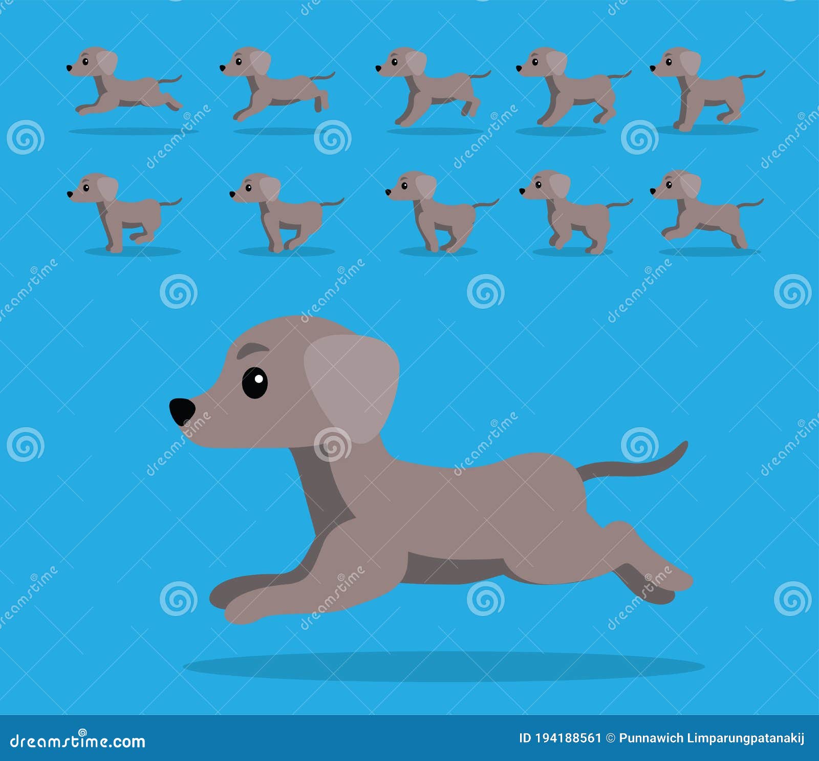 Animal Animation Sequence Dog Pyrenean Sheepdog Cartoon Vector ...