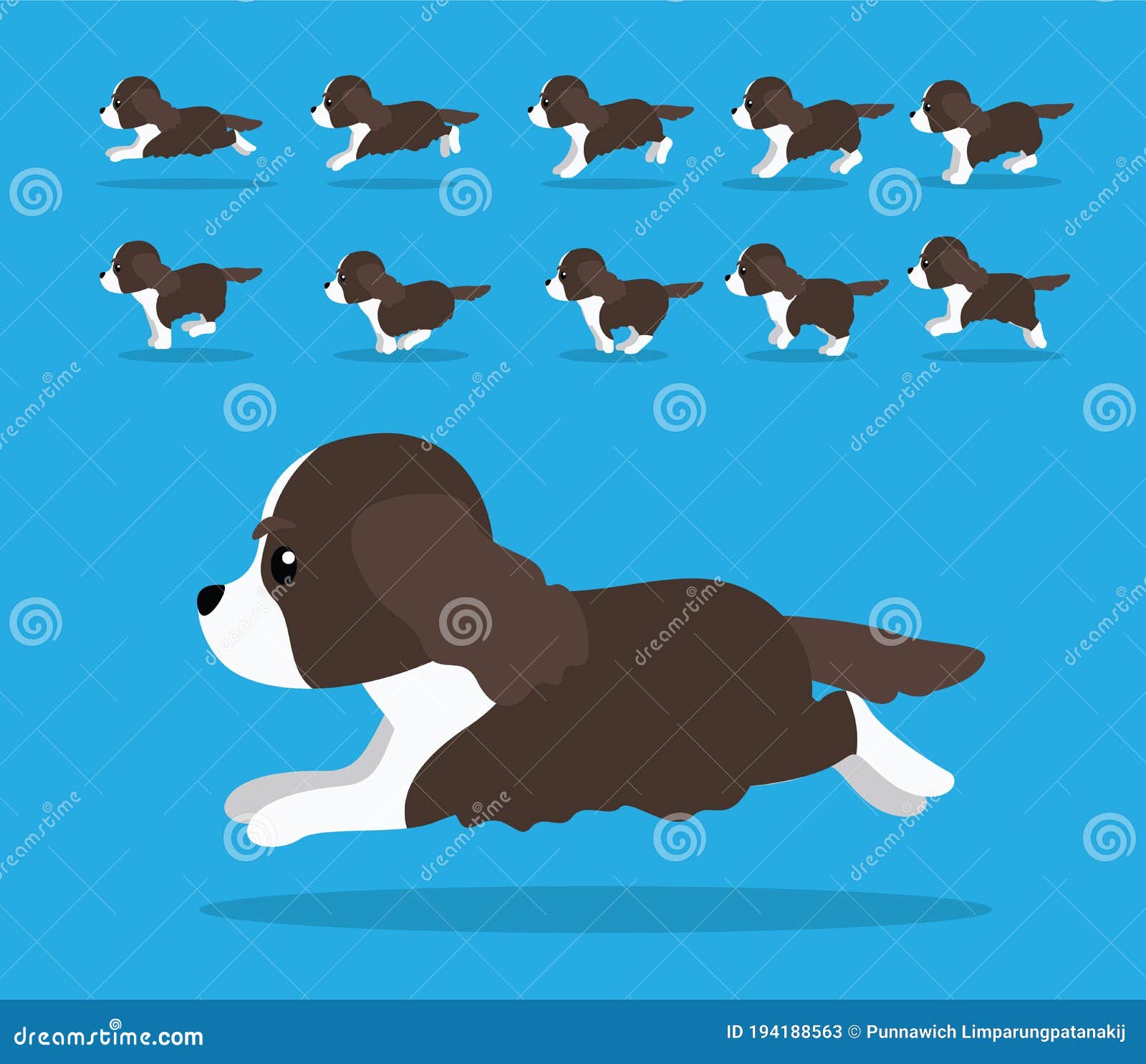 Animal Animation Sequence Dog English Springer Spaniel Cartoon Vector ...