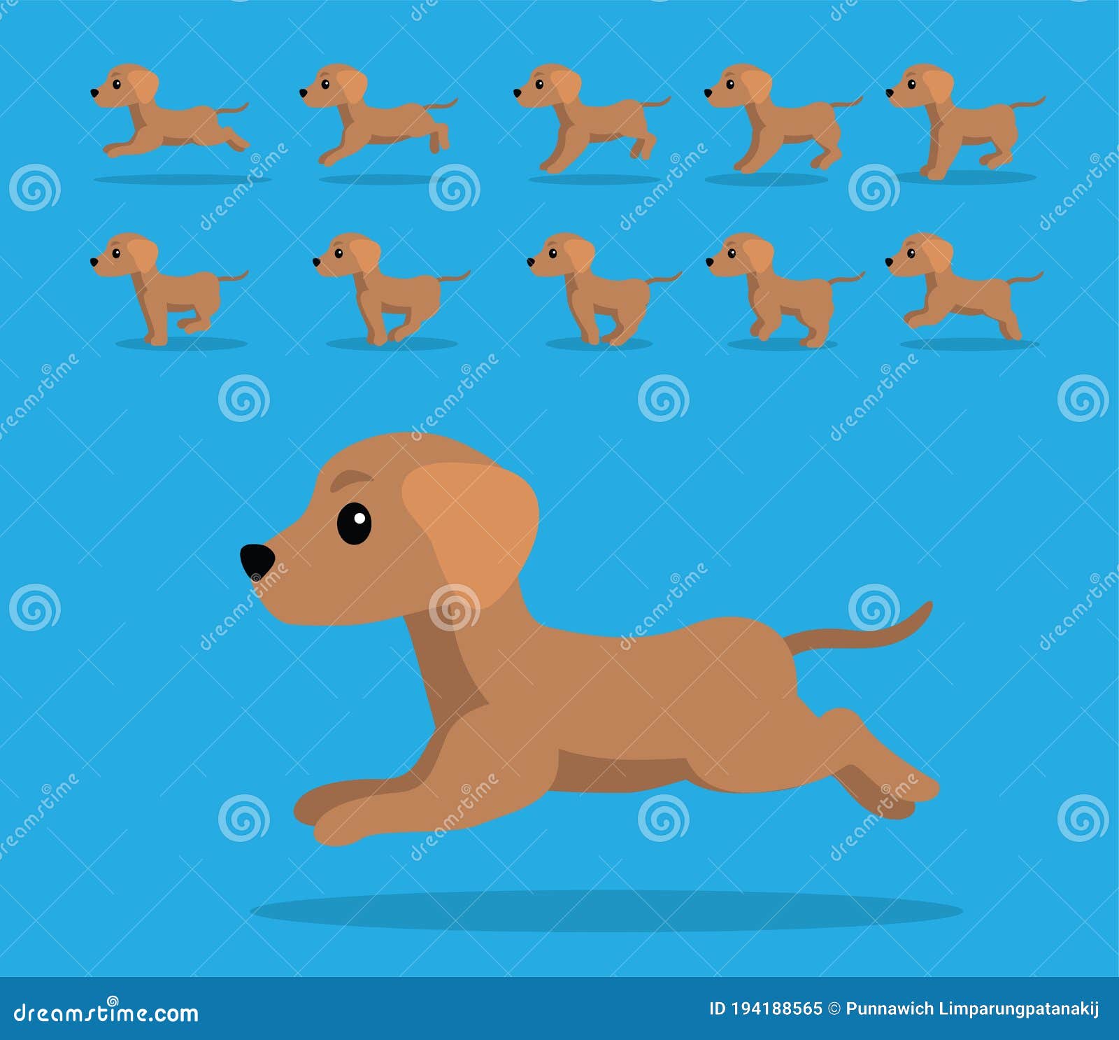 Animal Animation Sequence Dog Vizsla Cartoon Vector Stock Vector ...