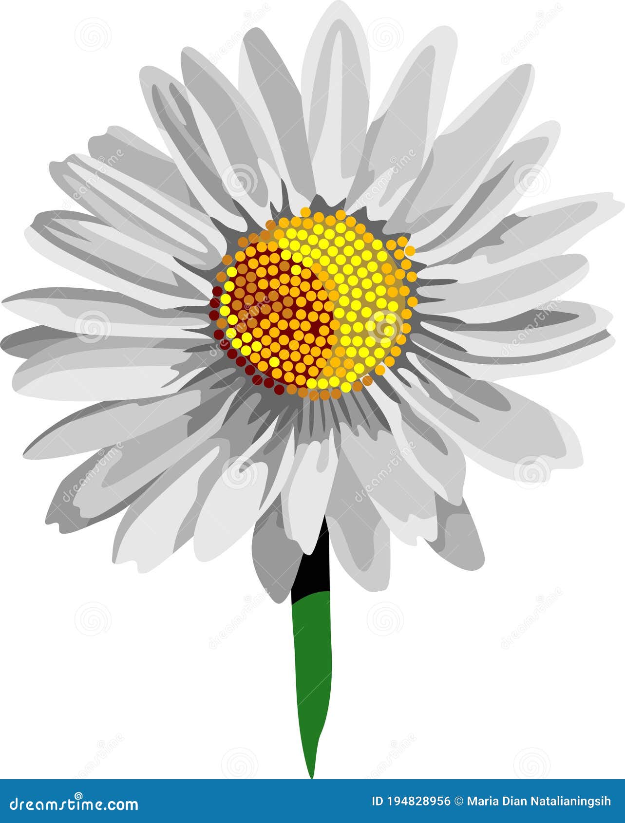 White Daisy Flower Flora Vector Illustration Stock Vector ...