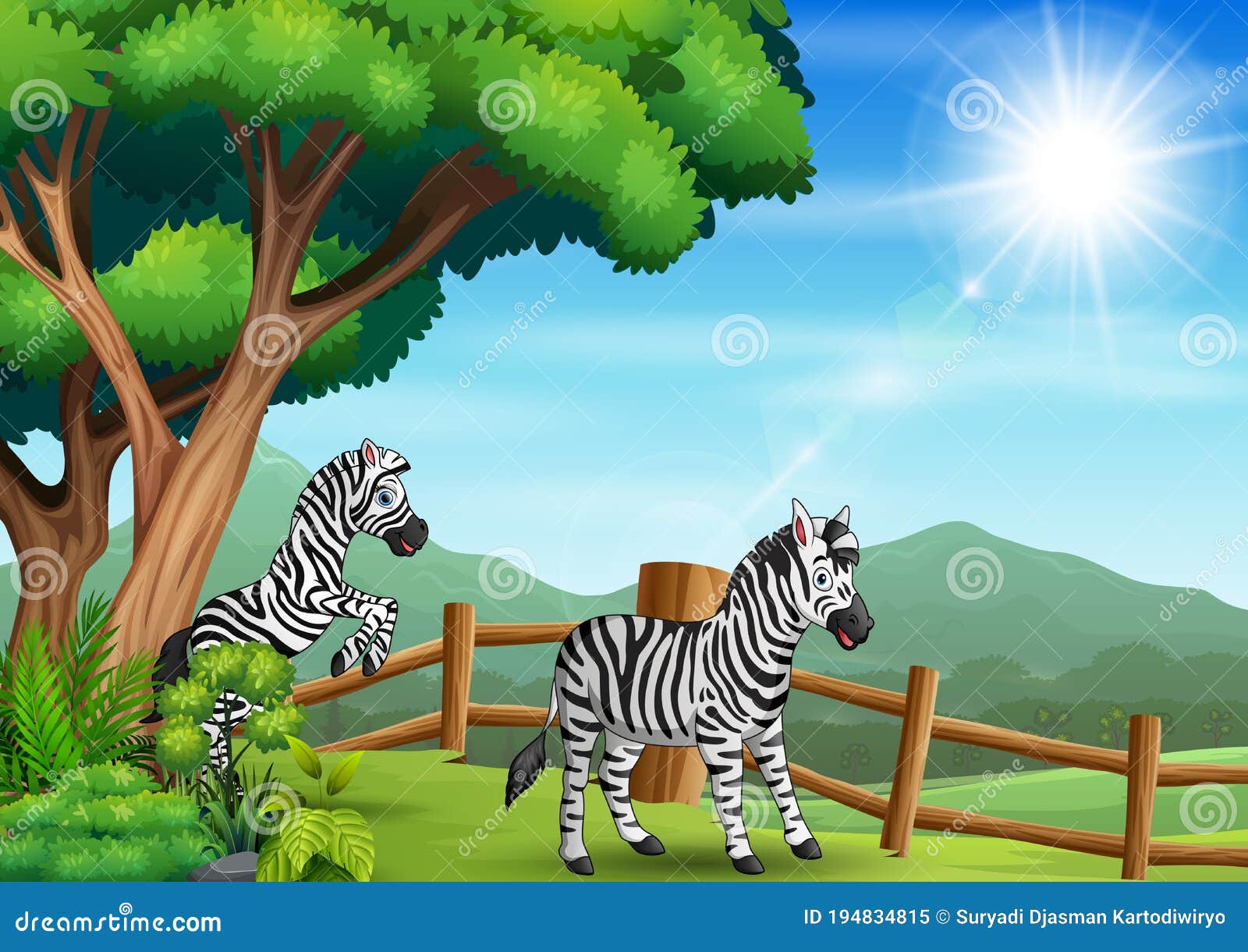 Happy Two Zebra Playing at the Open Zoo Stock Vector - Illustration of ...