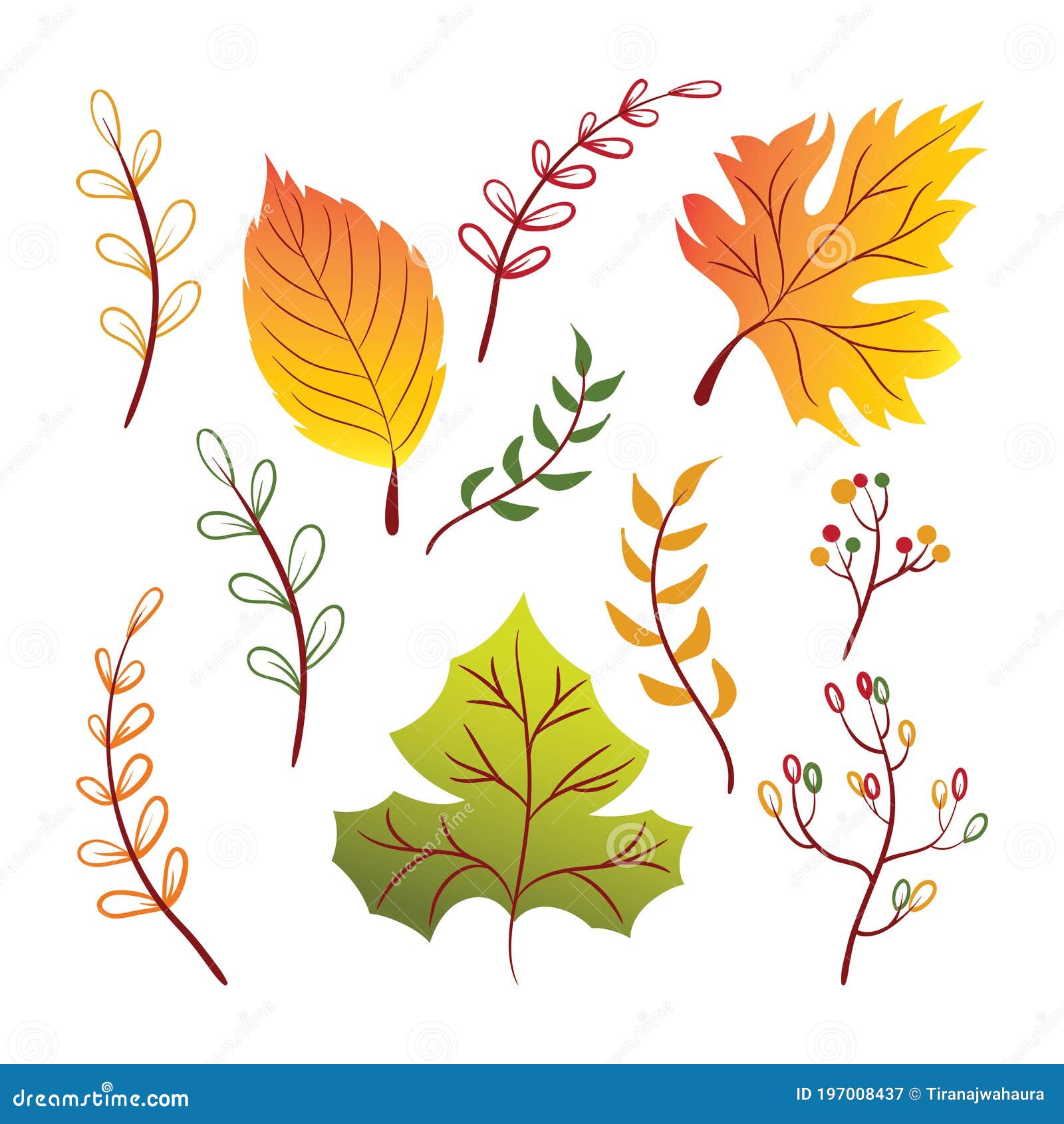 Modern Simple Autumn Leaves Design Elements Stock Vector - Illustration ...
