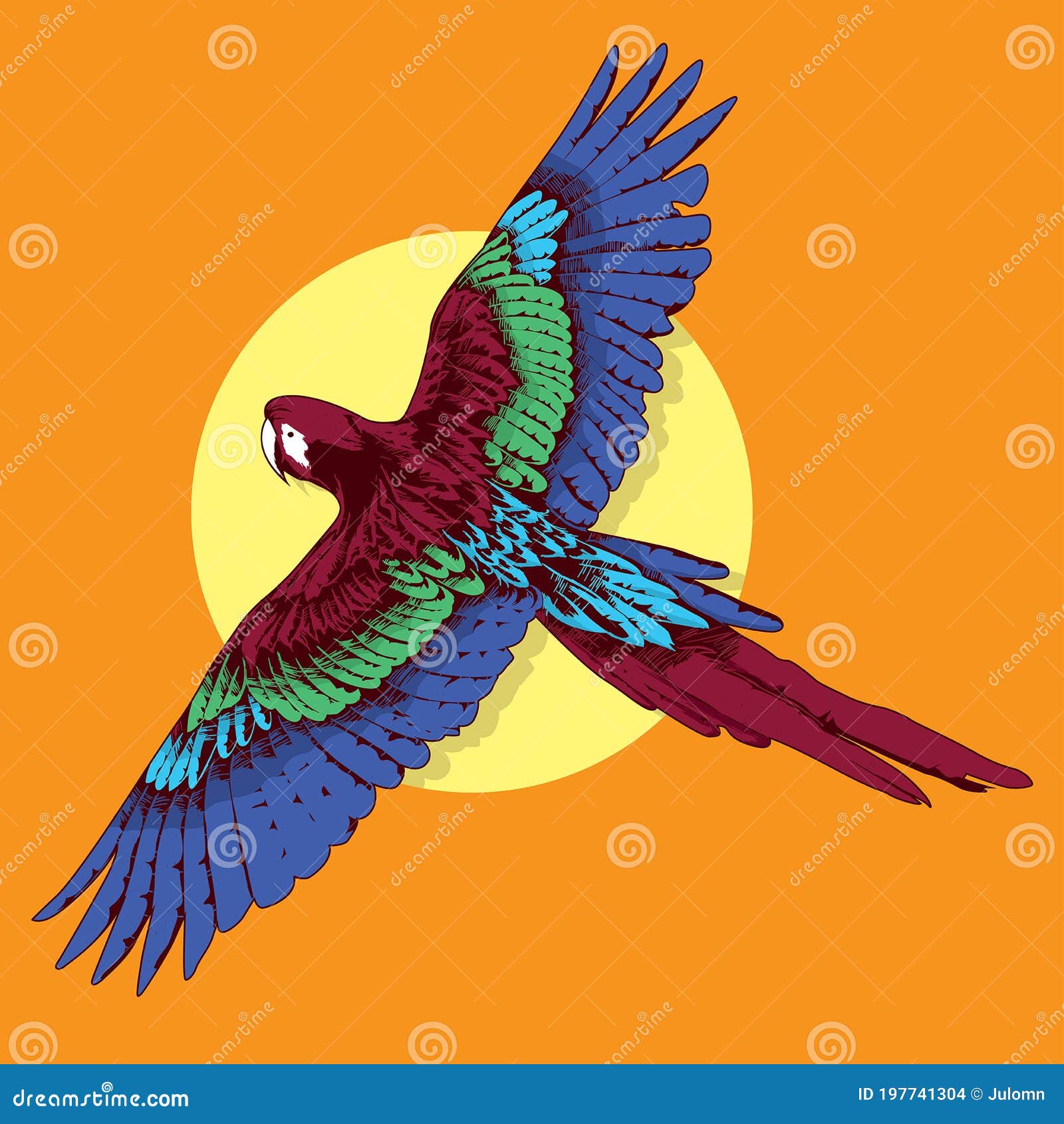 Parrot Bird Fly Illustration Tshirt Design Stock Illustration ...