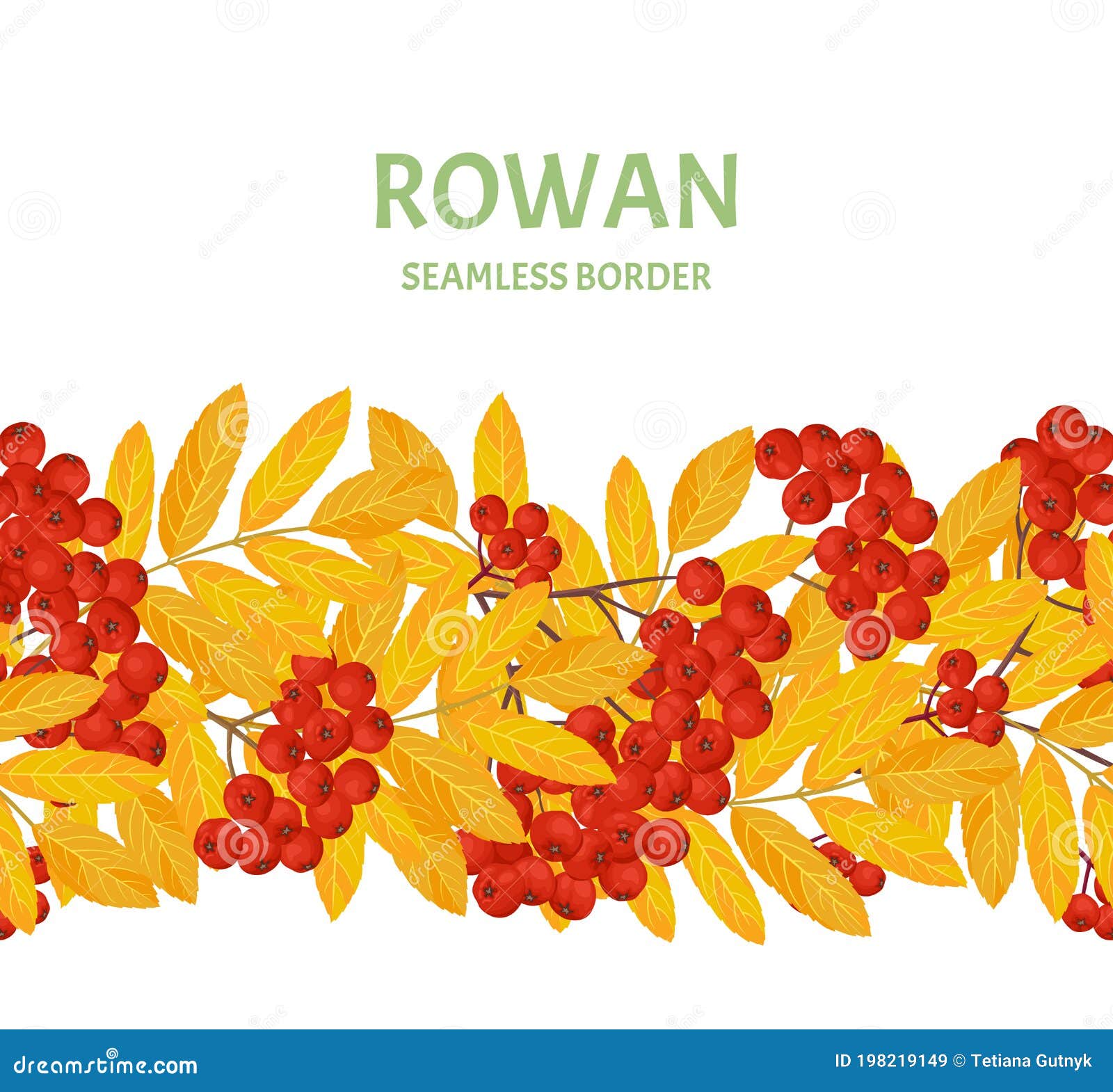 Rowan Seamless Border. Vector Illustration of Red Rowan Berries and ...
