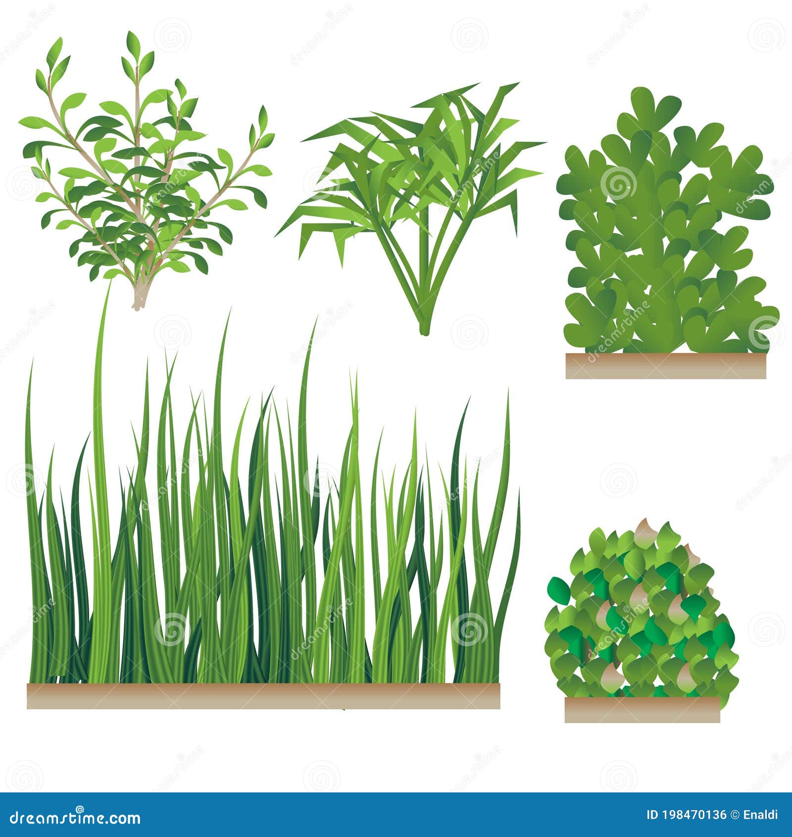 Realistic Grass and Bushes Set Stock Vector - Illustration of green ...