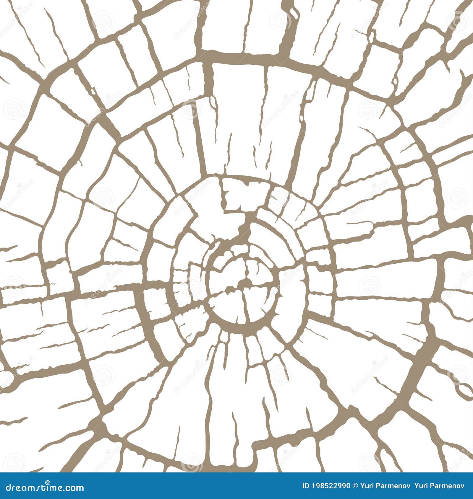 Cracked Wood Texture, Wooden Cut of a Tree Log. Pattern of Cracks on an ...