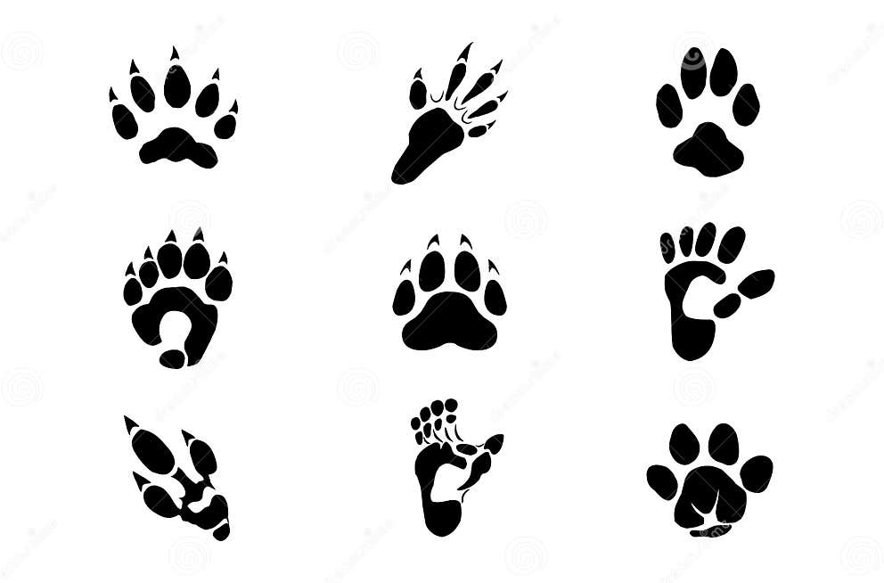 Animal Claw and Footprint Icon Stock Vector - Illustration of monkey ...