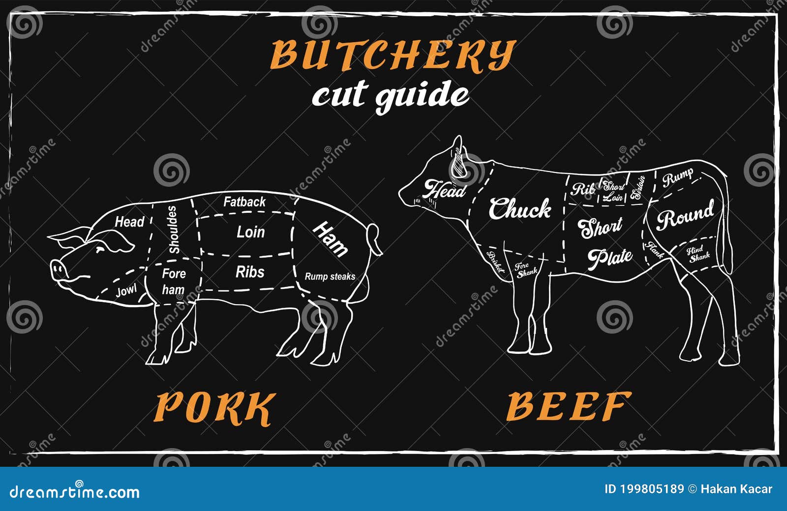 Butcher Shop Retro Poster Scheme and Diagram. Stock Vector ...